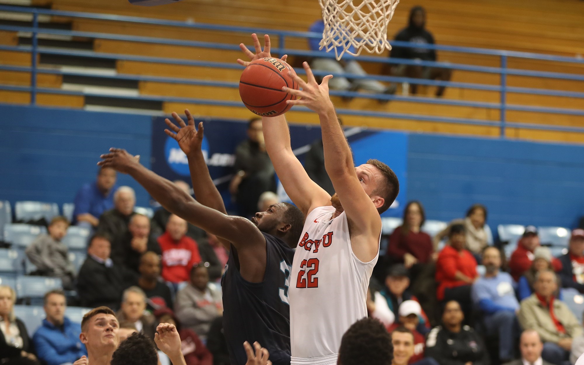 Daniel Mortensen - Men's Basketball - Barry University Athletics