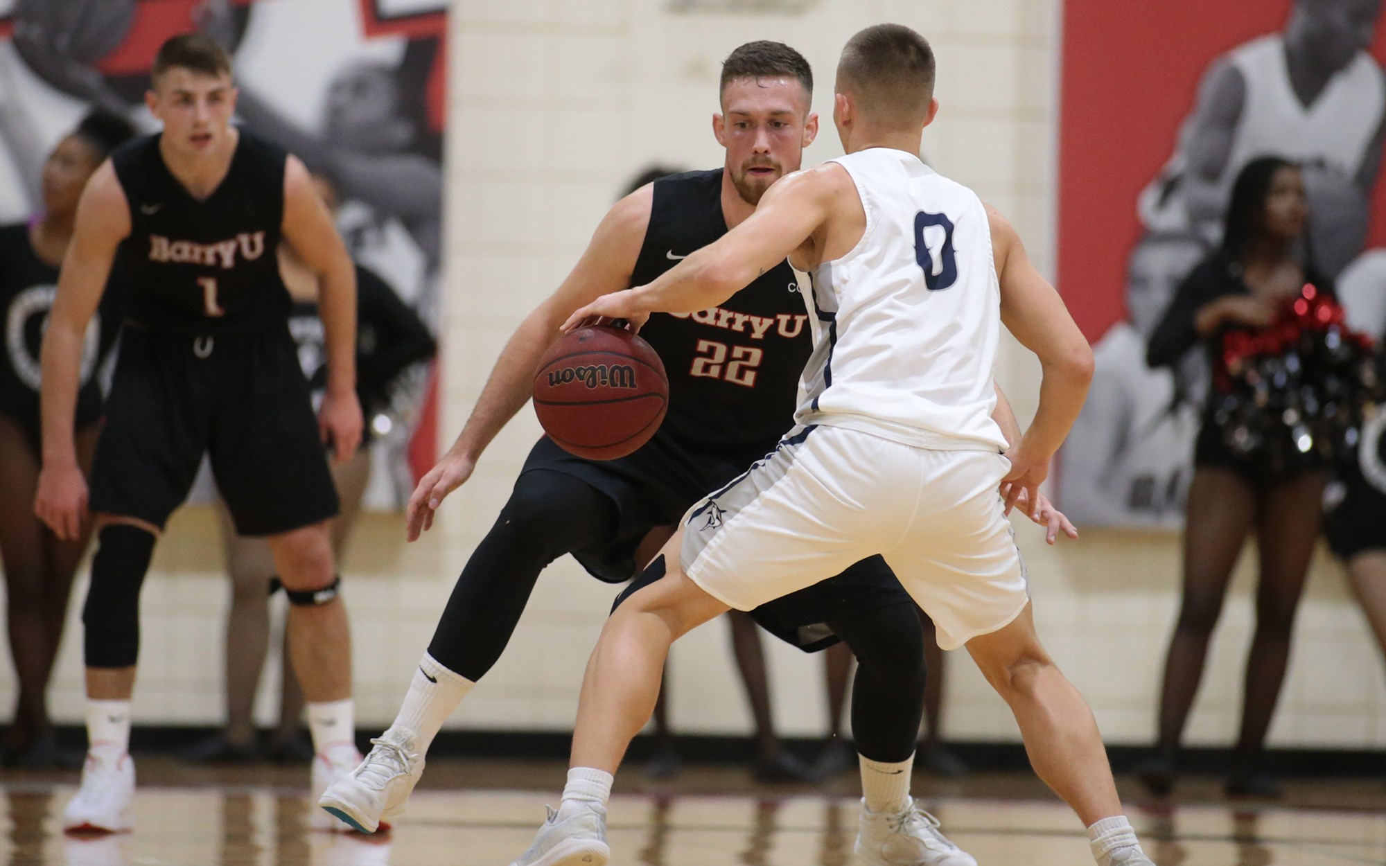 Daniel Mortensen - Men's Basketball - Barry University Athletics