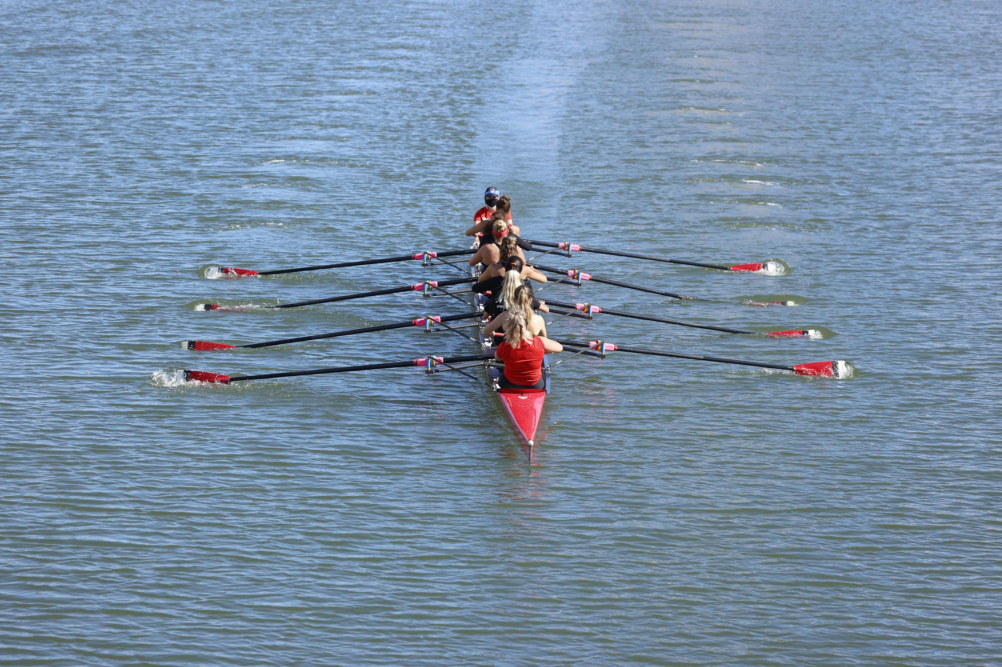 Bucs Begin Search For Rowing Coach - Barry University Athletics