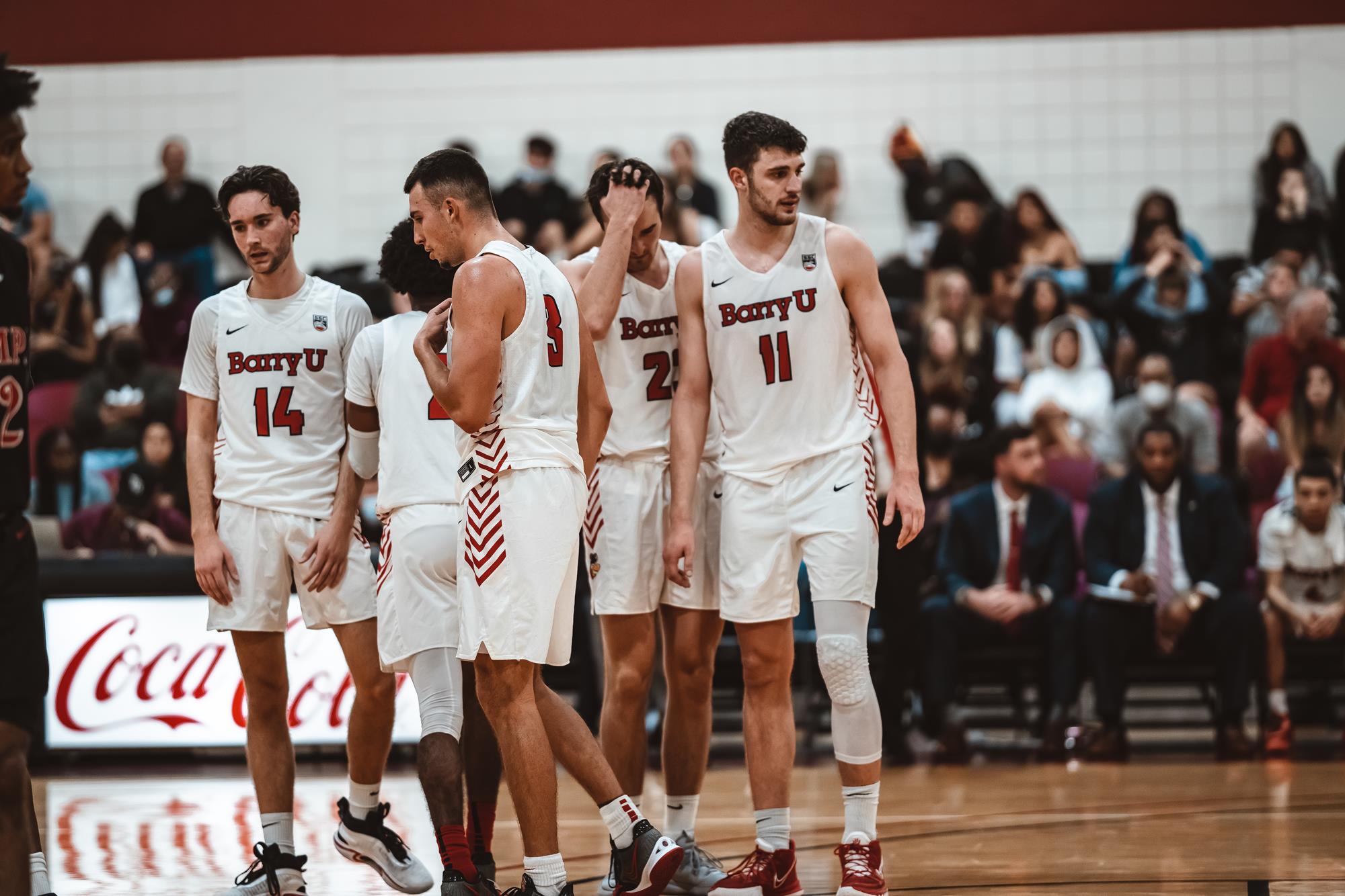 Men's Hoops Upset By Panthers - Barry University Athletics