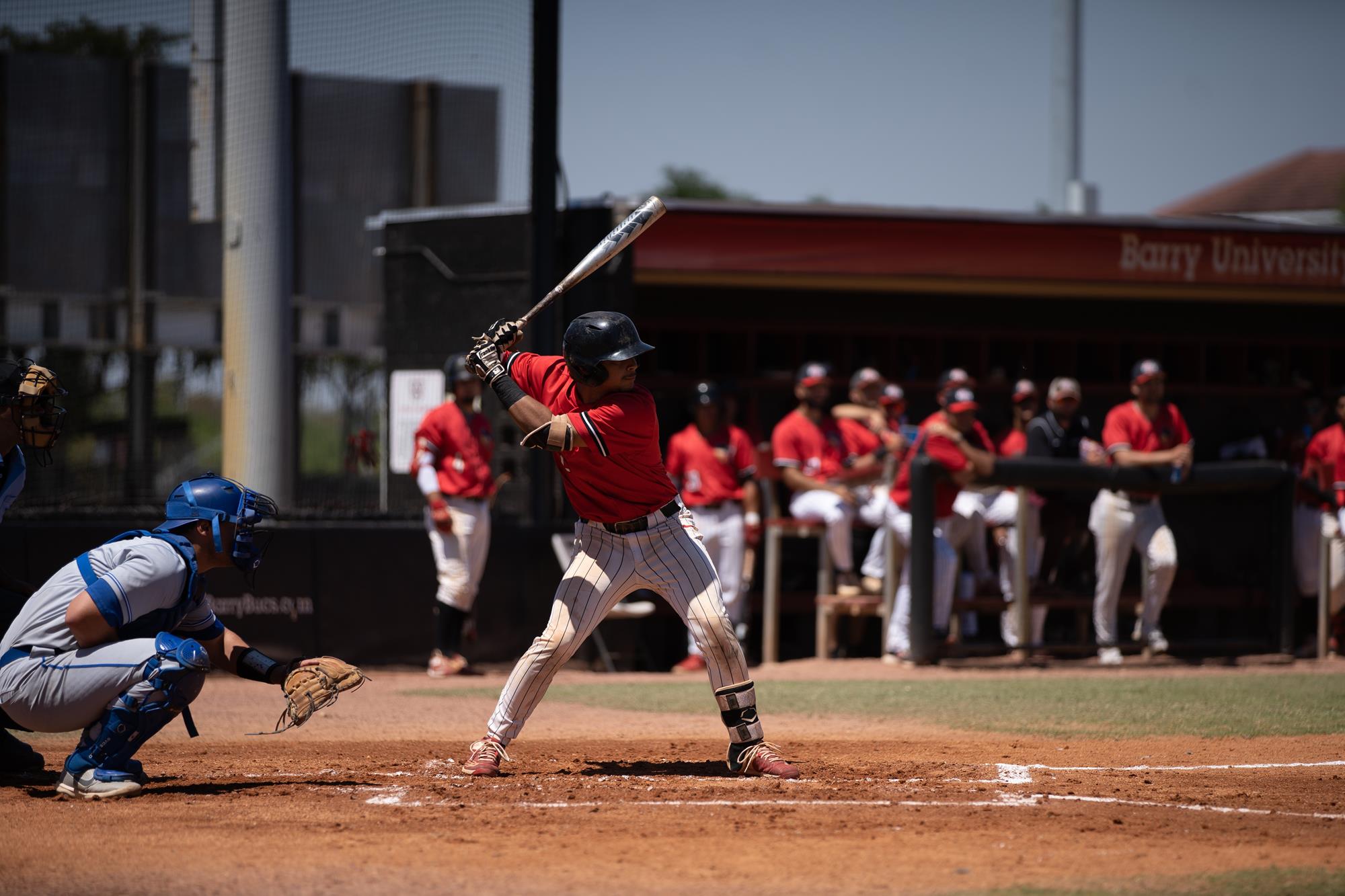 Branden Abreu - Baseball - Barry University Athletics