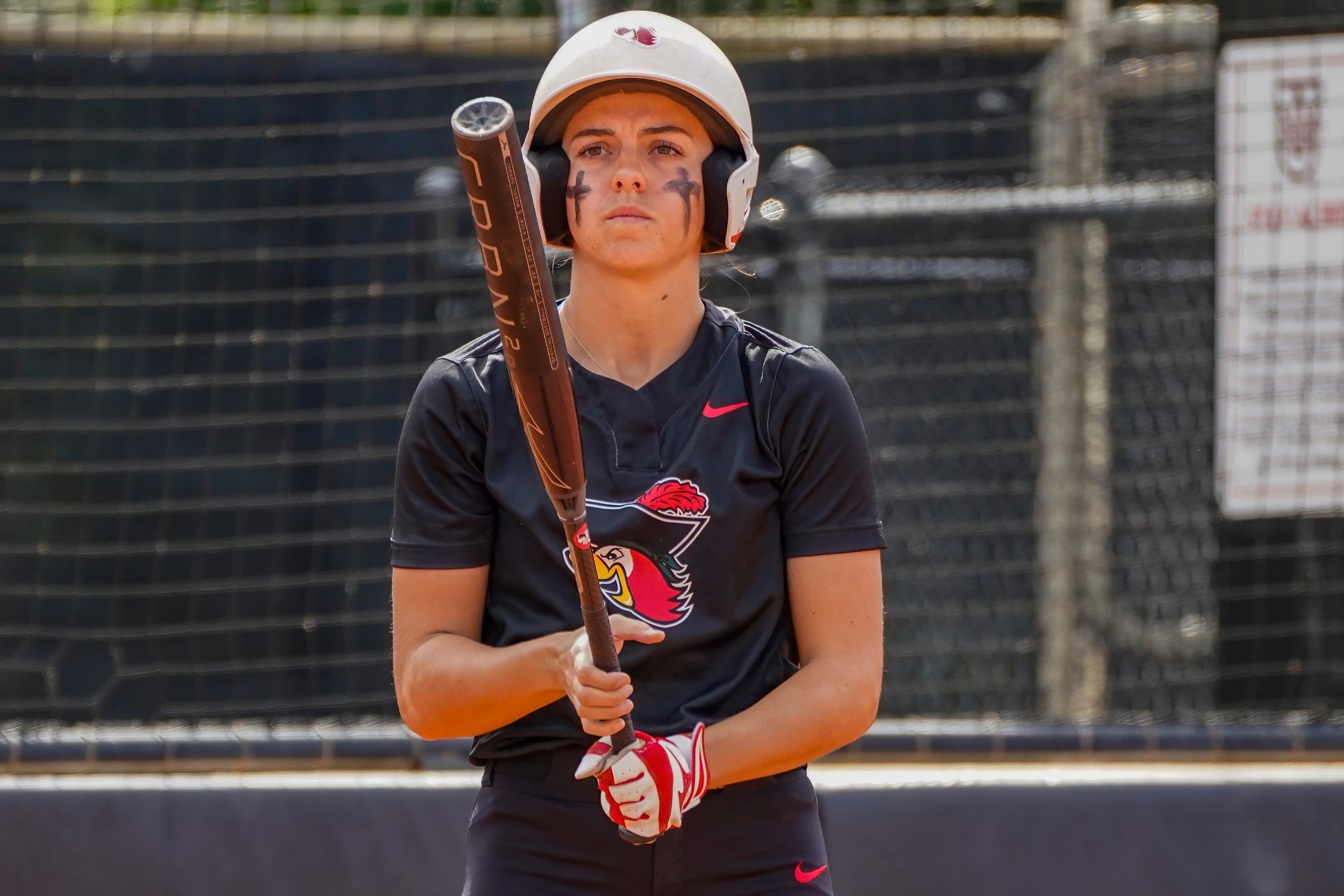 Pair of 1-0 Defeats Spell Heartbreak for Buccaneer Softball at Panthers ...