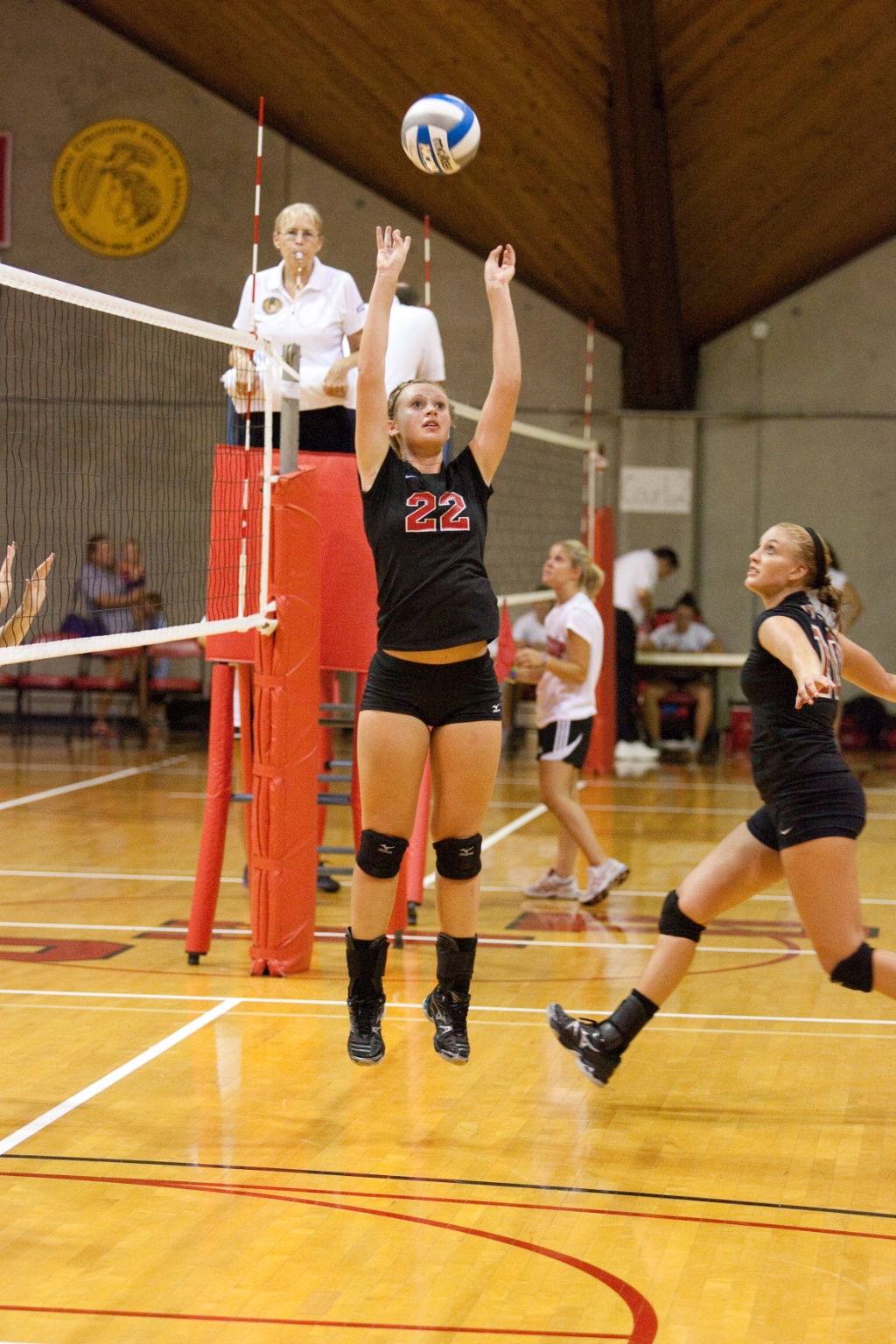 Brittany Vickers - Volleyball - Ohio Wesleyan University Athletics