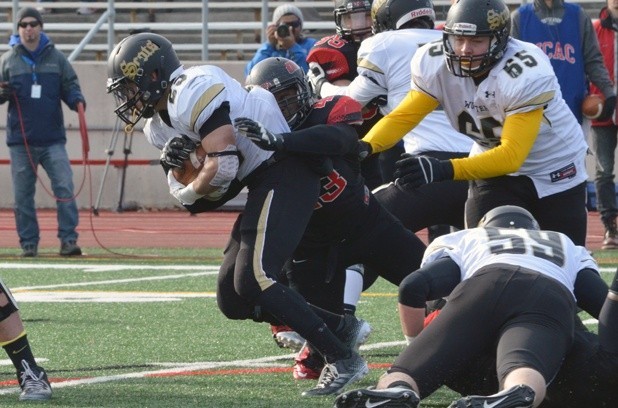 Dominic Wilson - Football - Ohio Wesleyan University Athletics