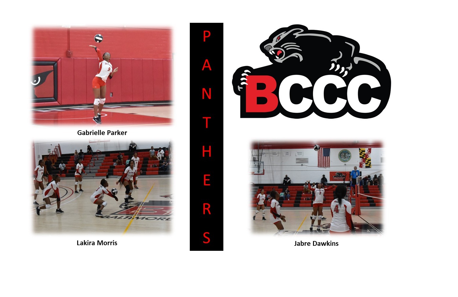 My Fathers' Plan Volleyball Tournament Returns to BCCC - BCCC Athletics
