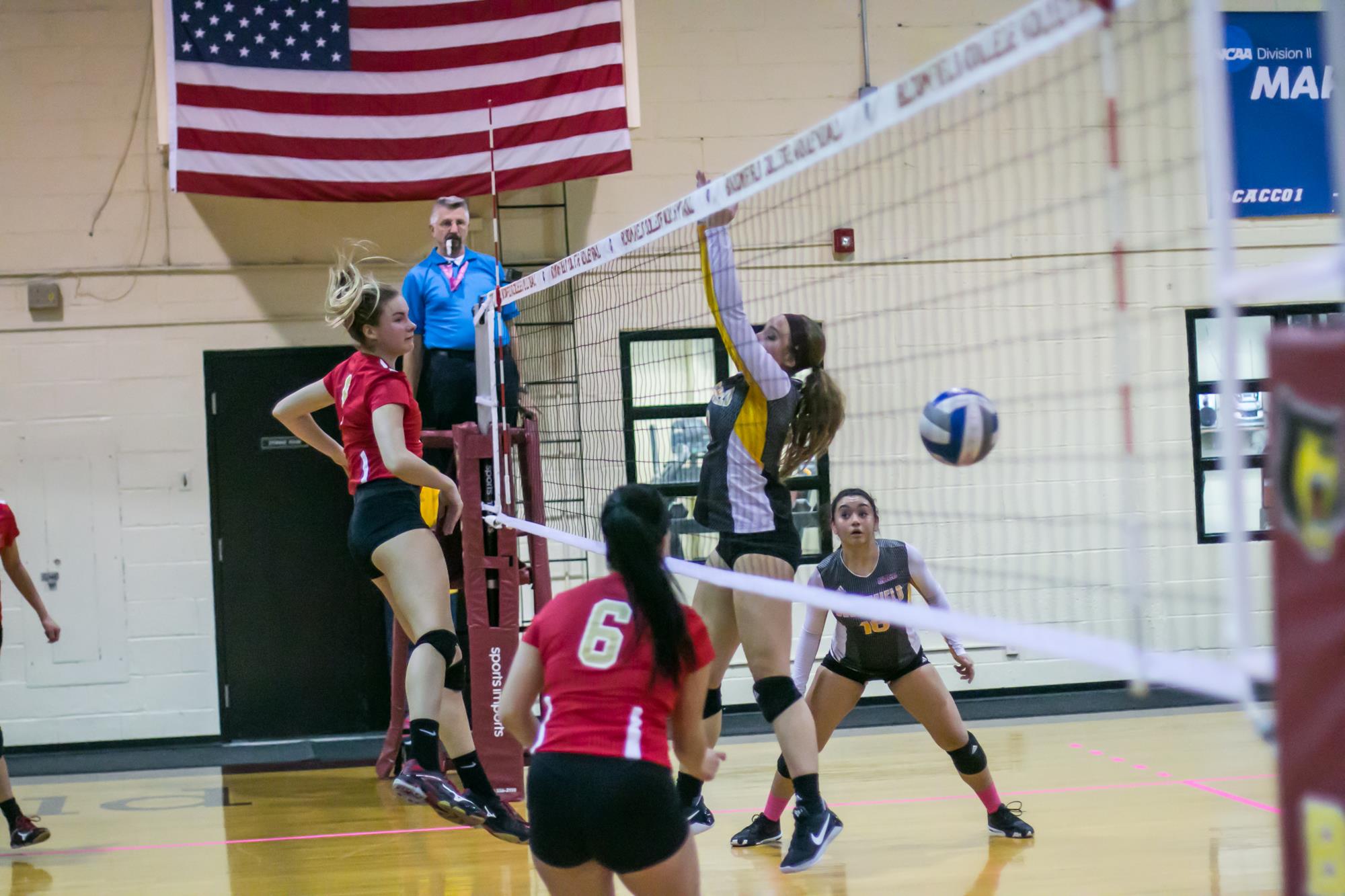 Ella Ditzenberger - Women's Volleyball - Bloomfield College Athletics