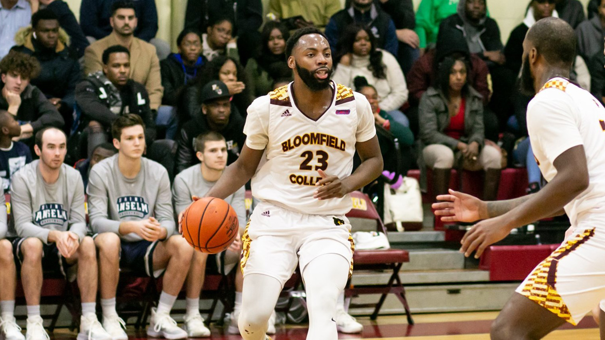 Darin Bellinger - Men's Basketball - Bloomfield College Athletics