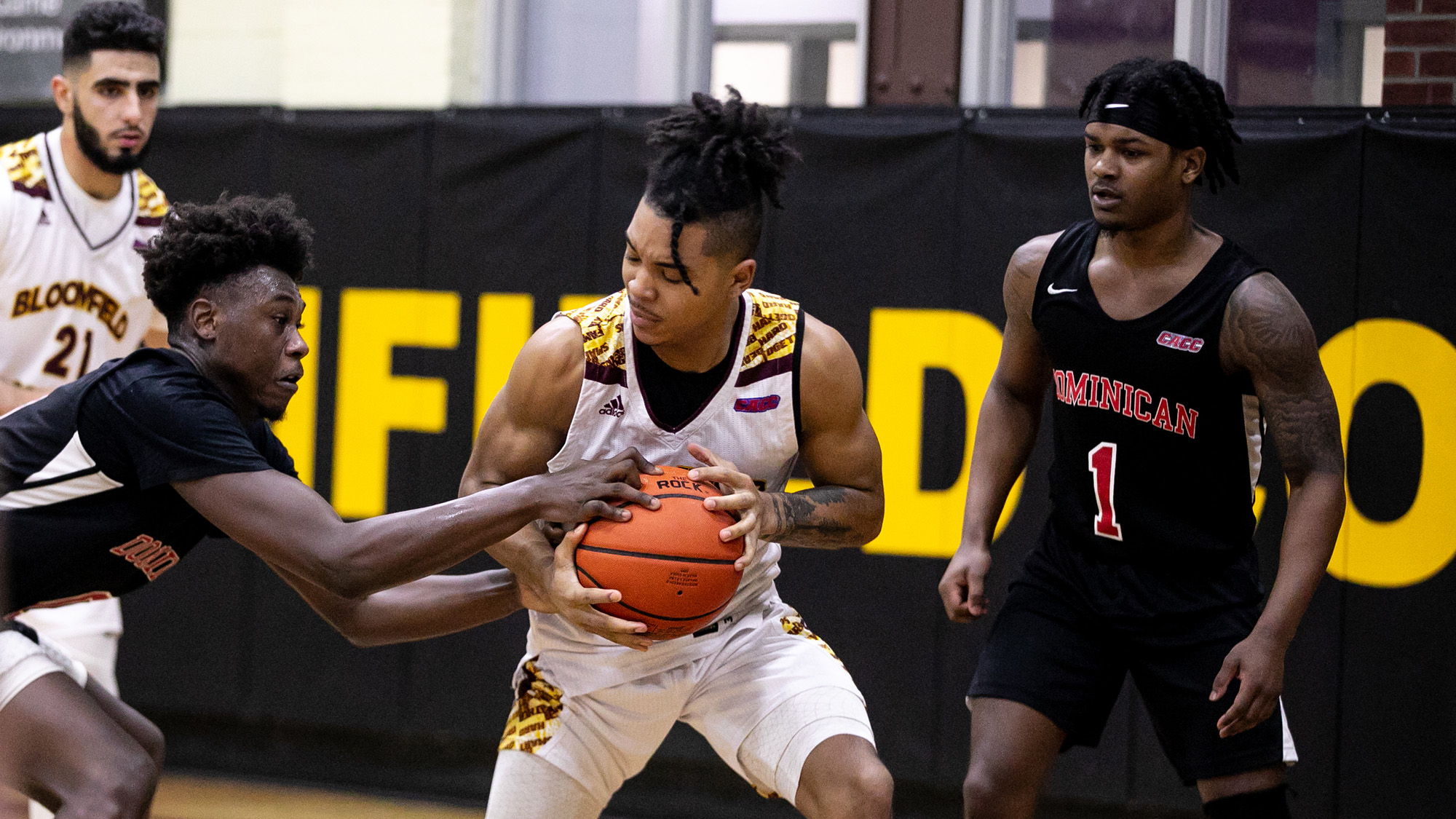 Luis Rodriguez - Men's Basketball - Bloomfield College Athletics