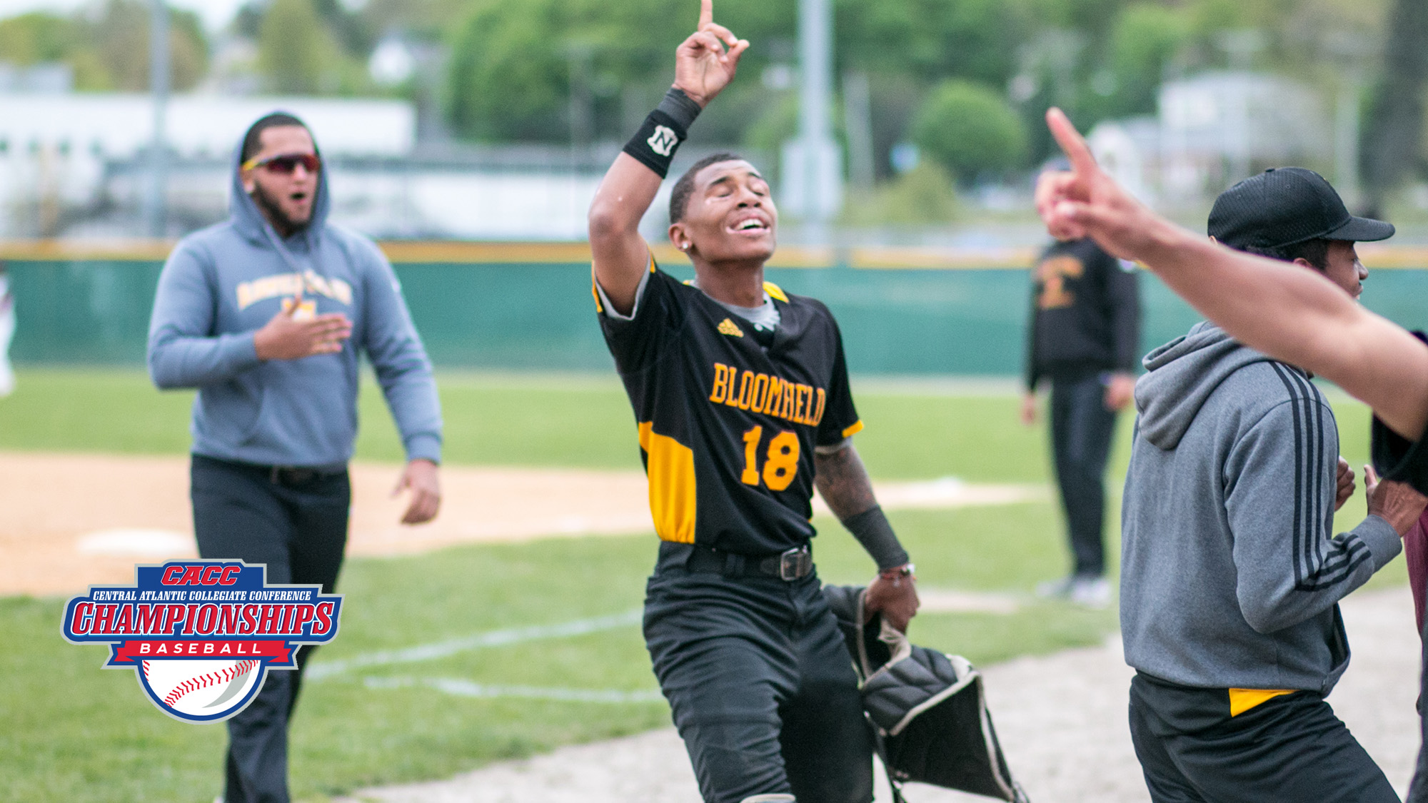 Christopher Morillo - Baseball - Bloomfield College Athletics