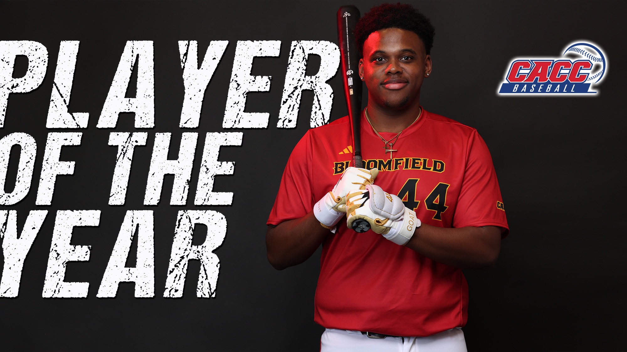 Tyree Bradley - Baseball - Bloomfield College Athletics