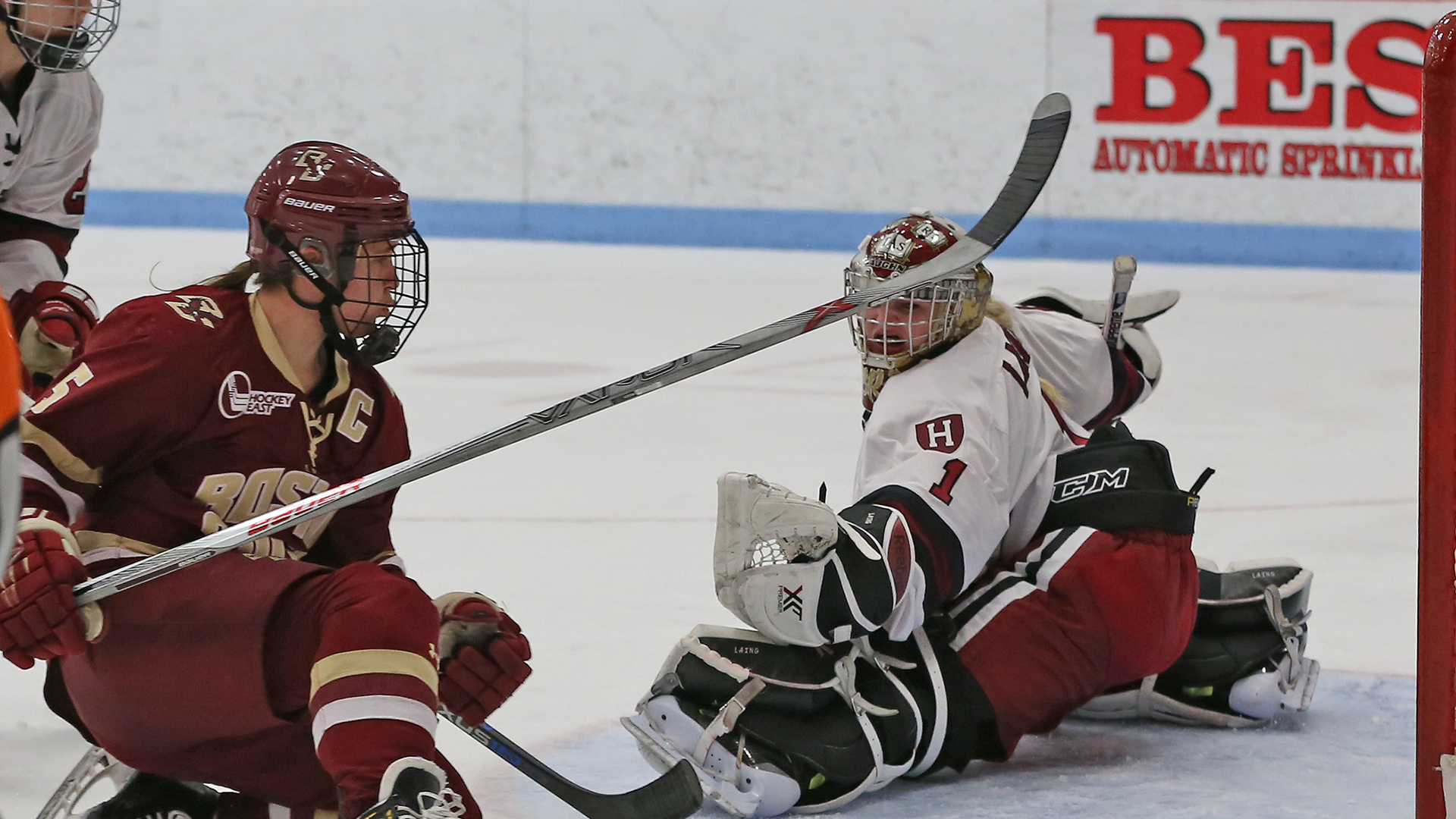 Alex Carpenter - Women's Hockey - Boston College Athletics