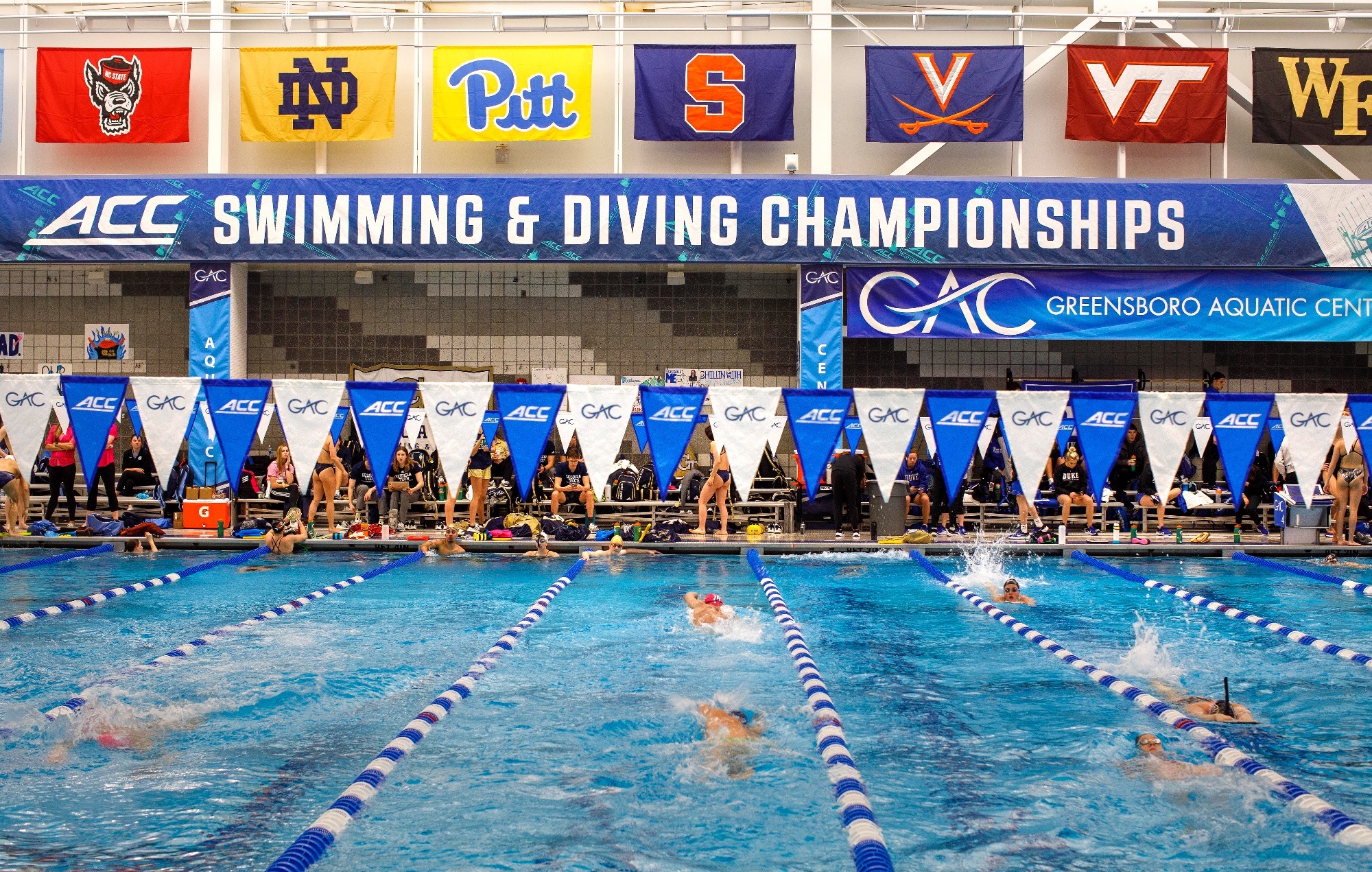 Five-Time Olympian Dara Torres Named Head Swimming & Diving Coach - Boston College Athletics