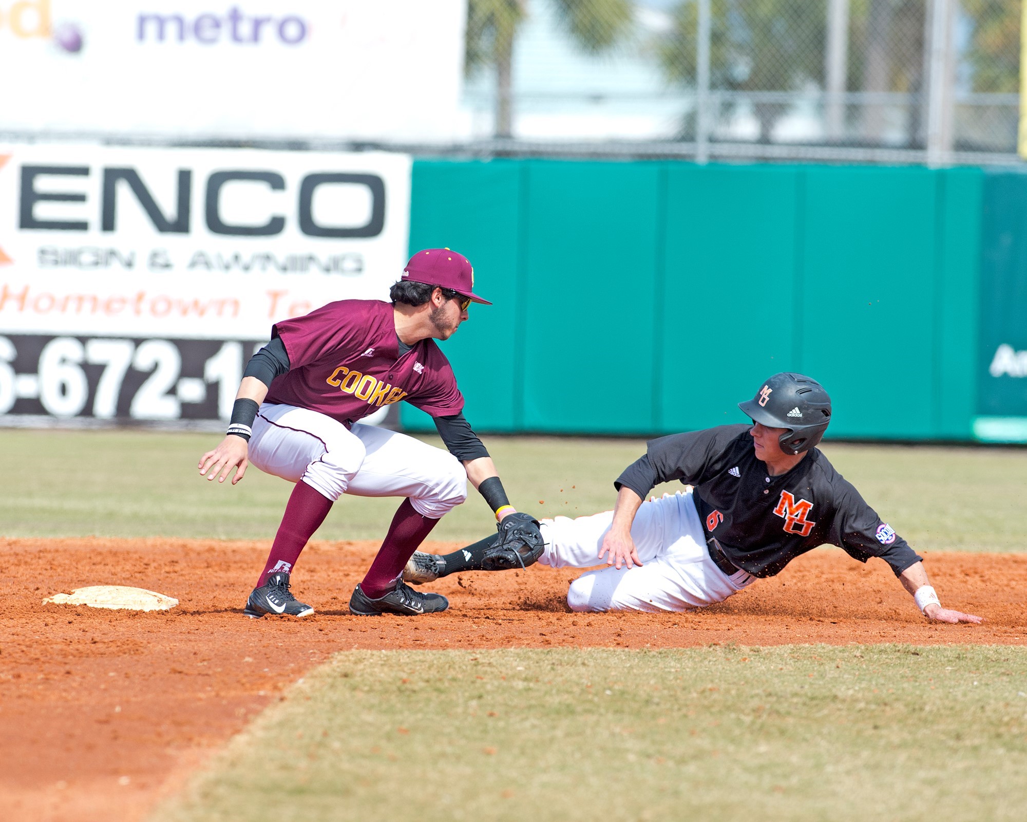 Brandon Amendolare - Baseball - Bethune-Cookman University Athletics