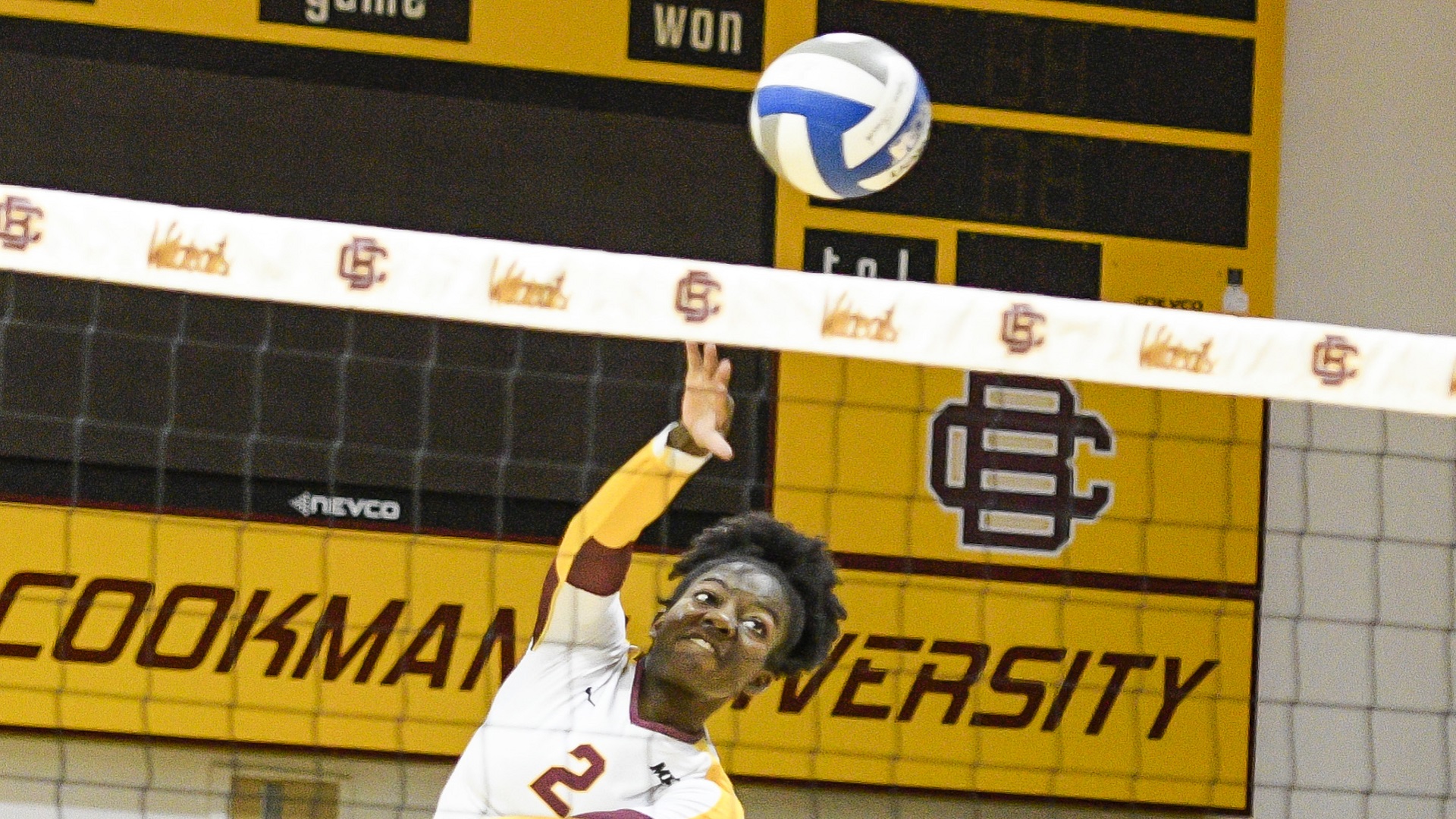 Jordan Jefferson - Women's Volleyball - Bethune-Cookman University ...