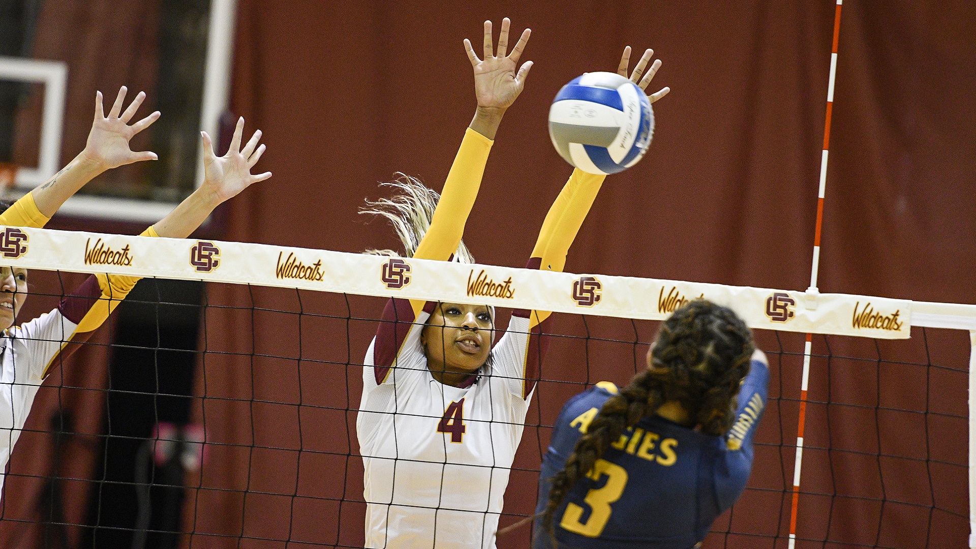 Sterling Williamson - Women's Volleyball - Bethune-Cookman University ...