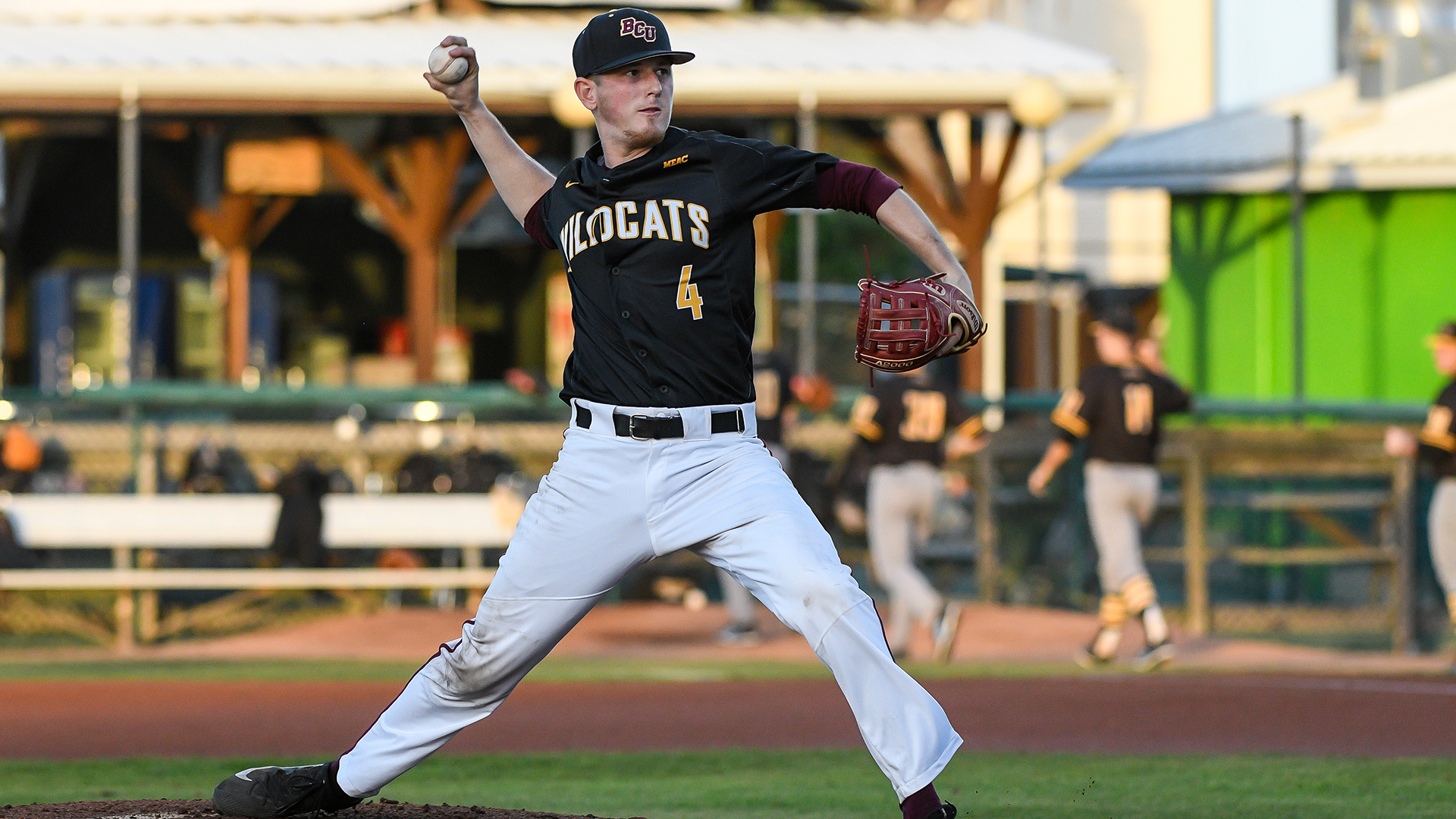 Tyler Norris - Baseball - Bethune-Cookman University Athletics
