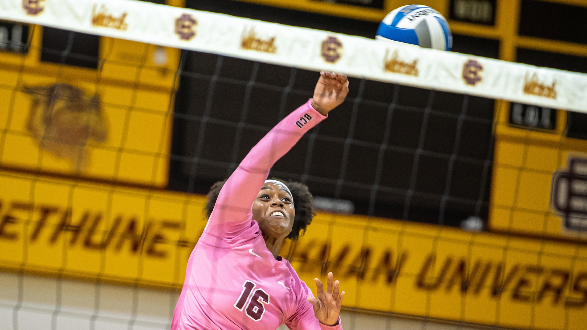 Miranda White - Women's Volleyball - Bethune-Cookman University Athletics