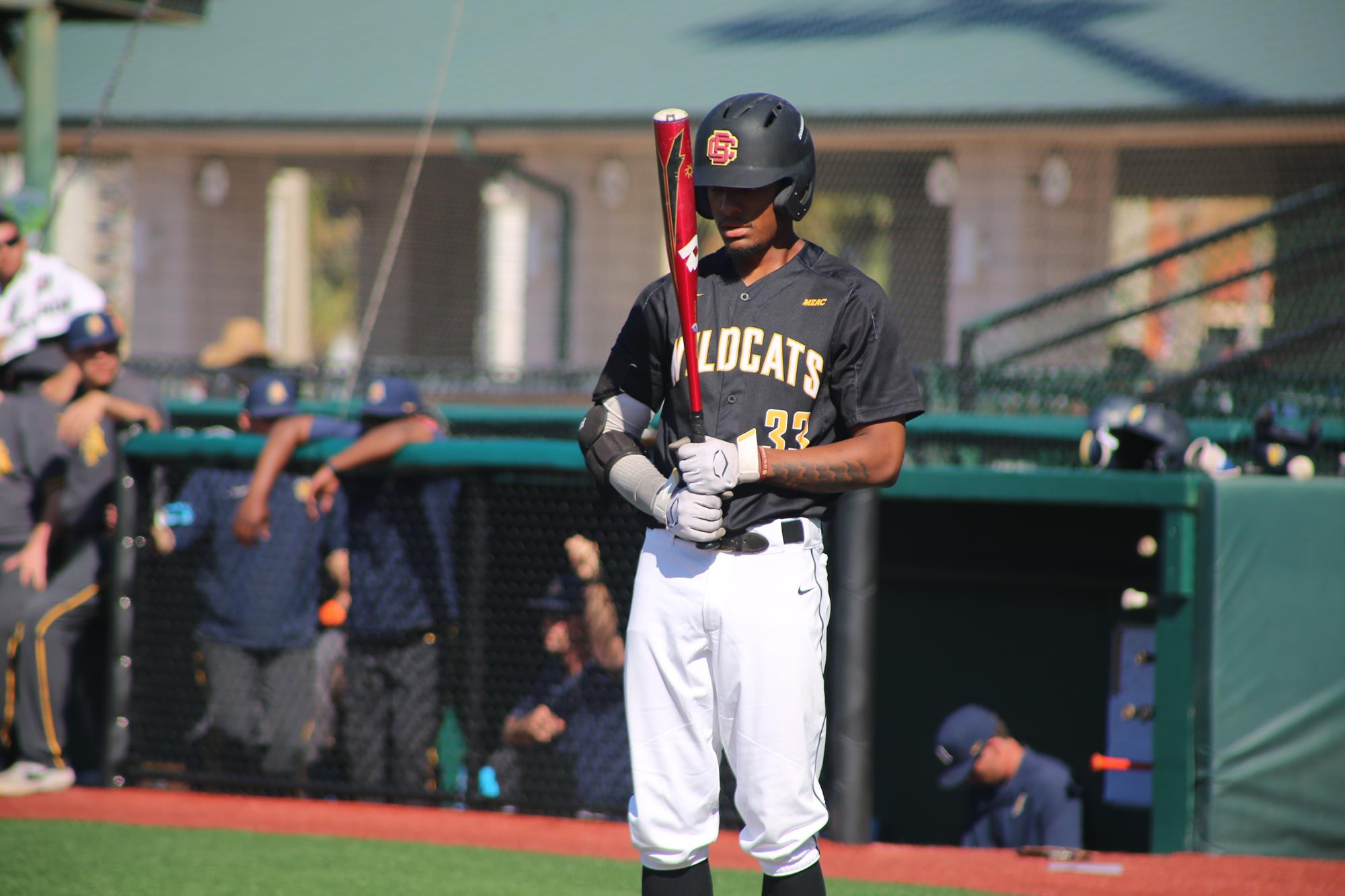 Robert Bell - Baseball - Bethune-Cookman University Athletics