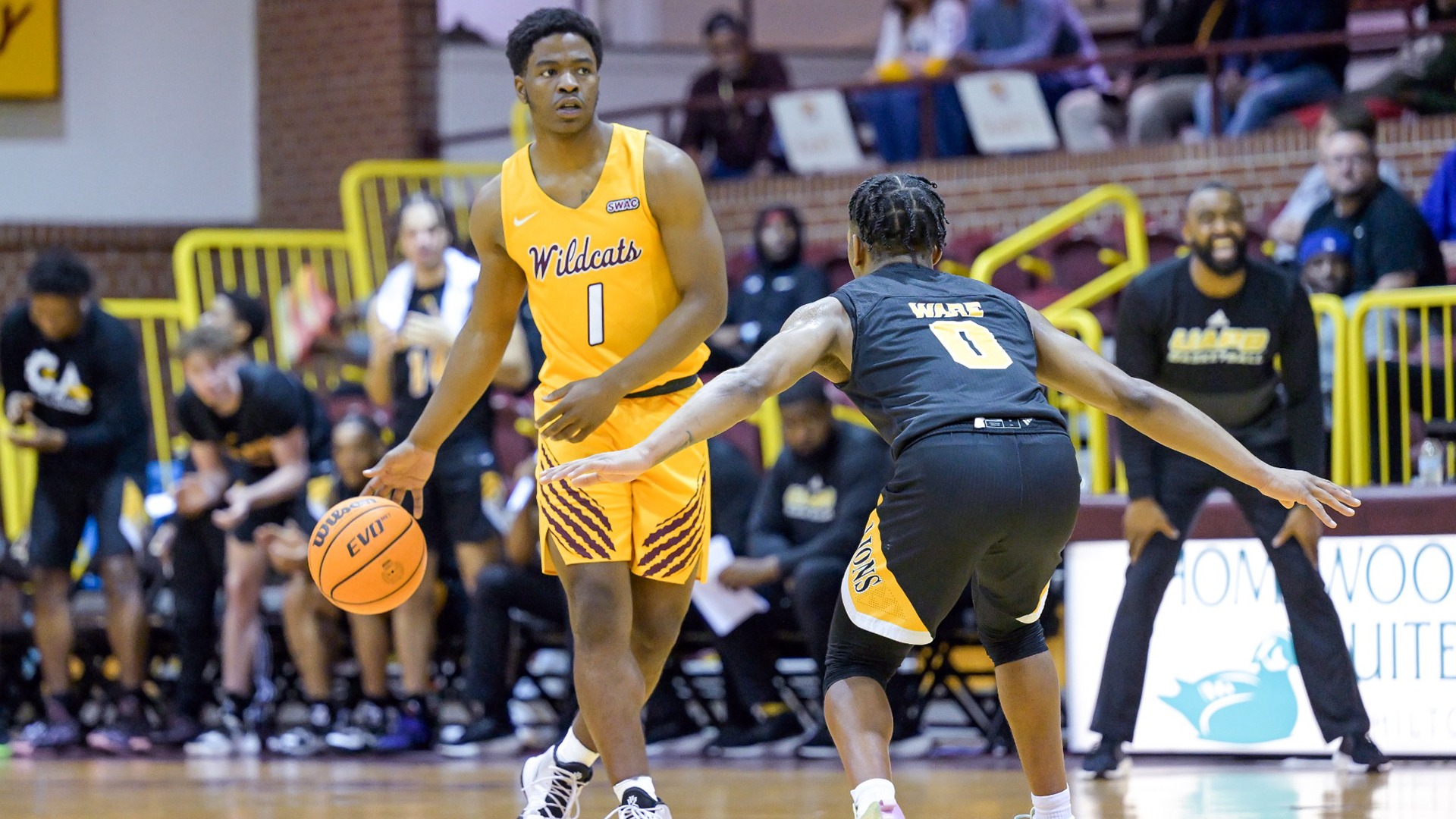 Zion Harmon - Men's Basketball - Bethune-Cookman University Athletics