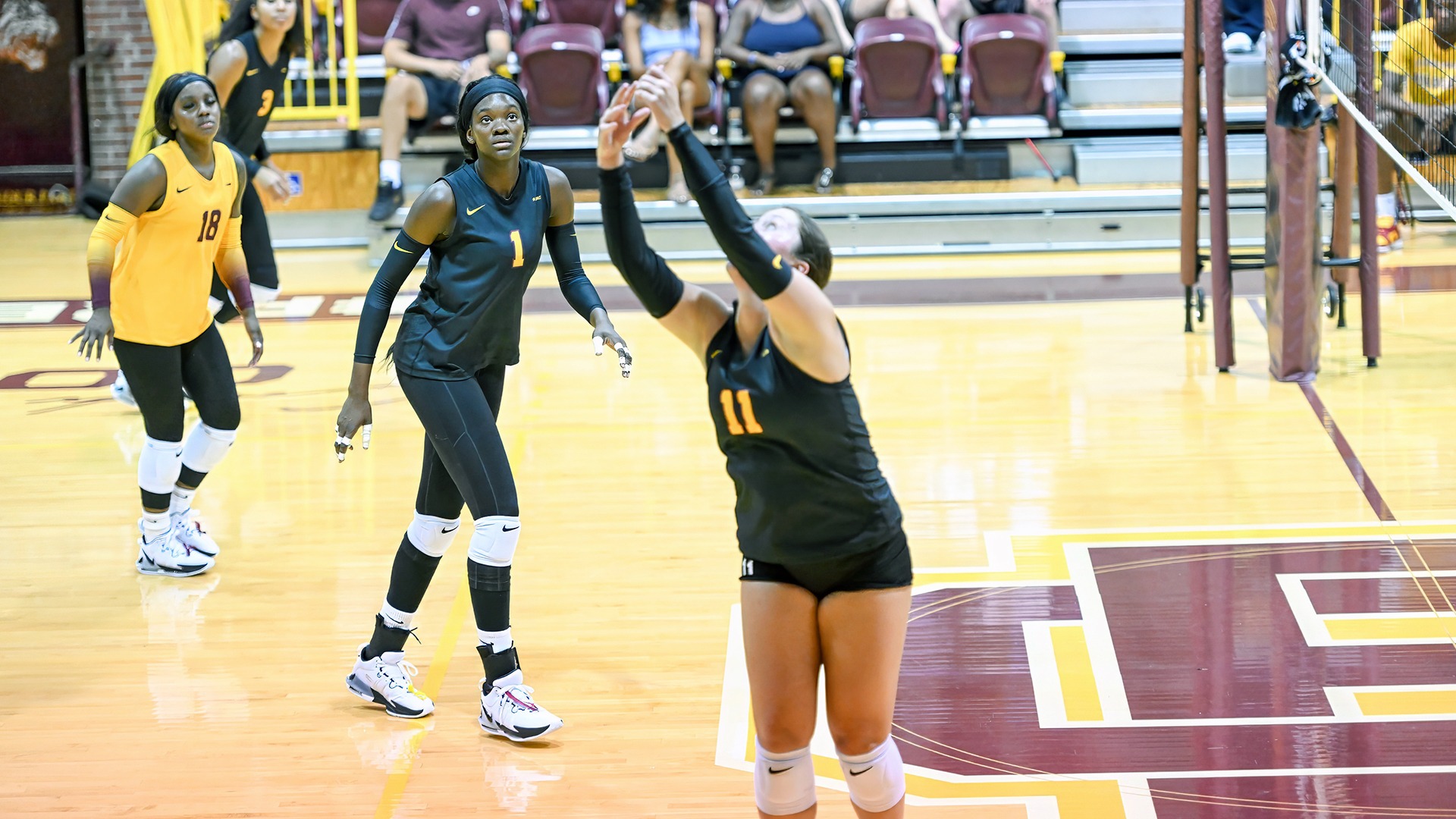 Volleyball Falls to Campbell - Bethune-Cookman University Athletics