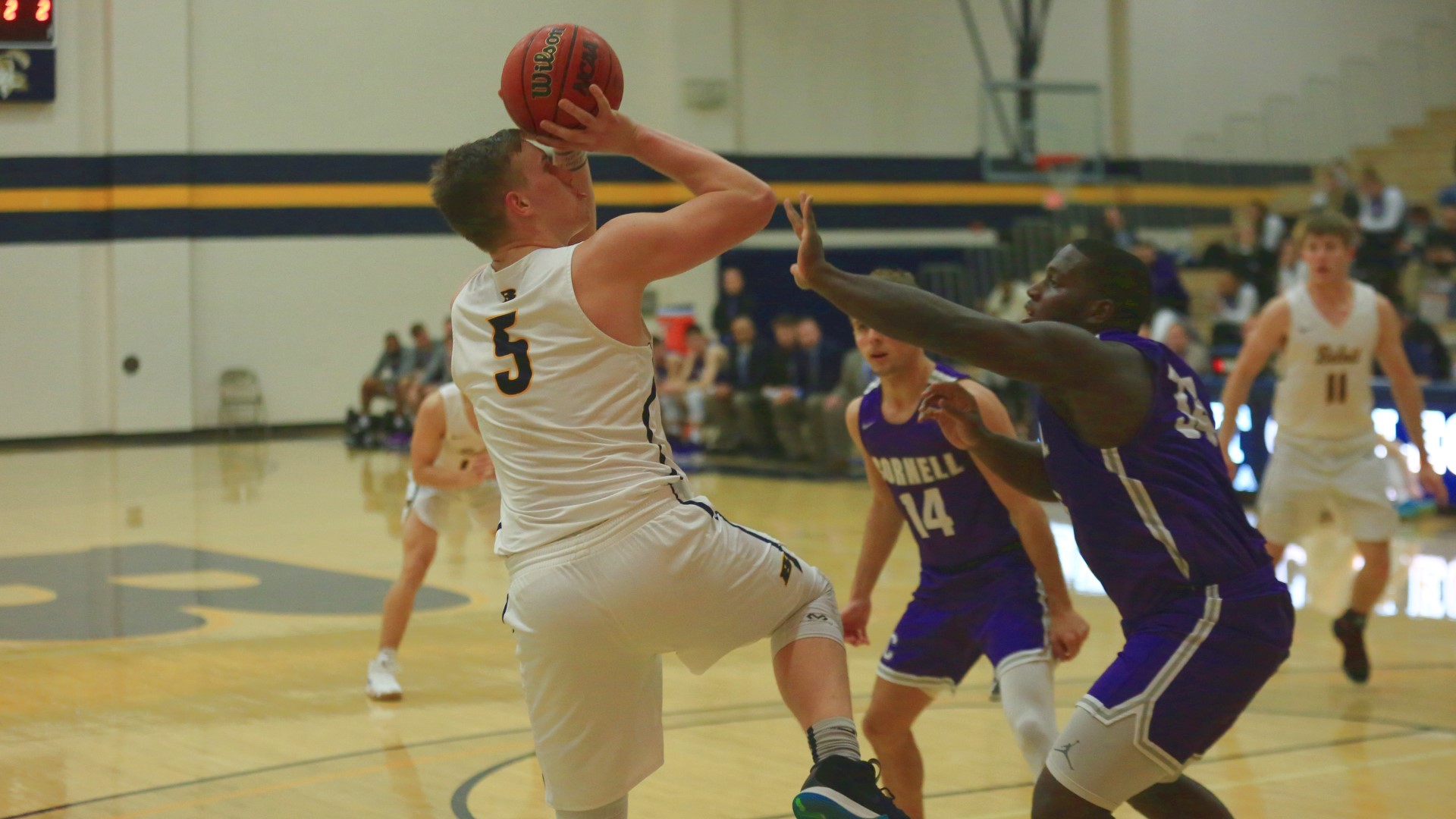 Tristan Shoup - Men's Basketball - Beloit College
