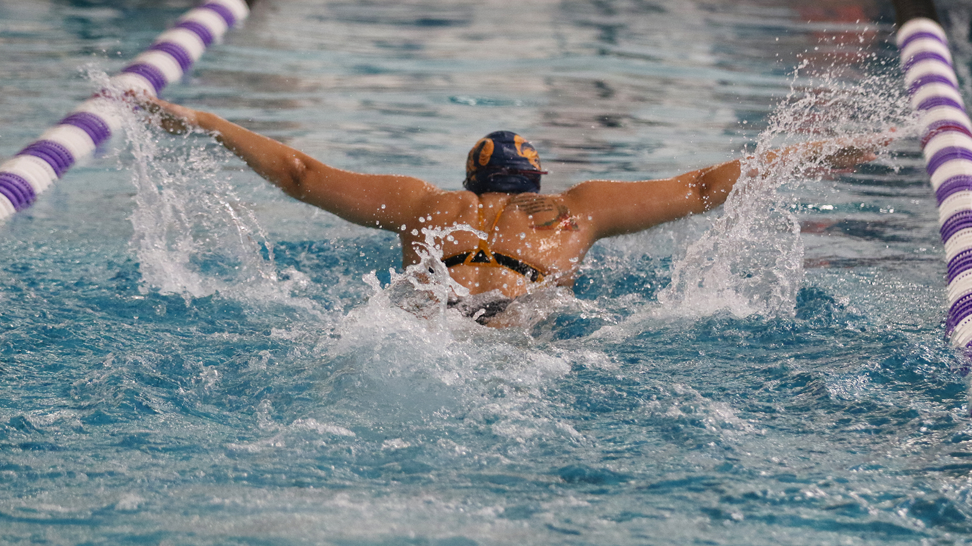Bucs Top Knox in Dual Meet Action - Beloit College