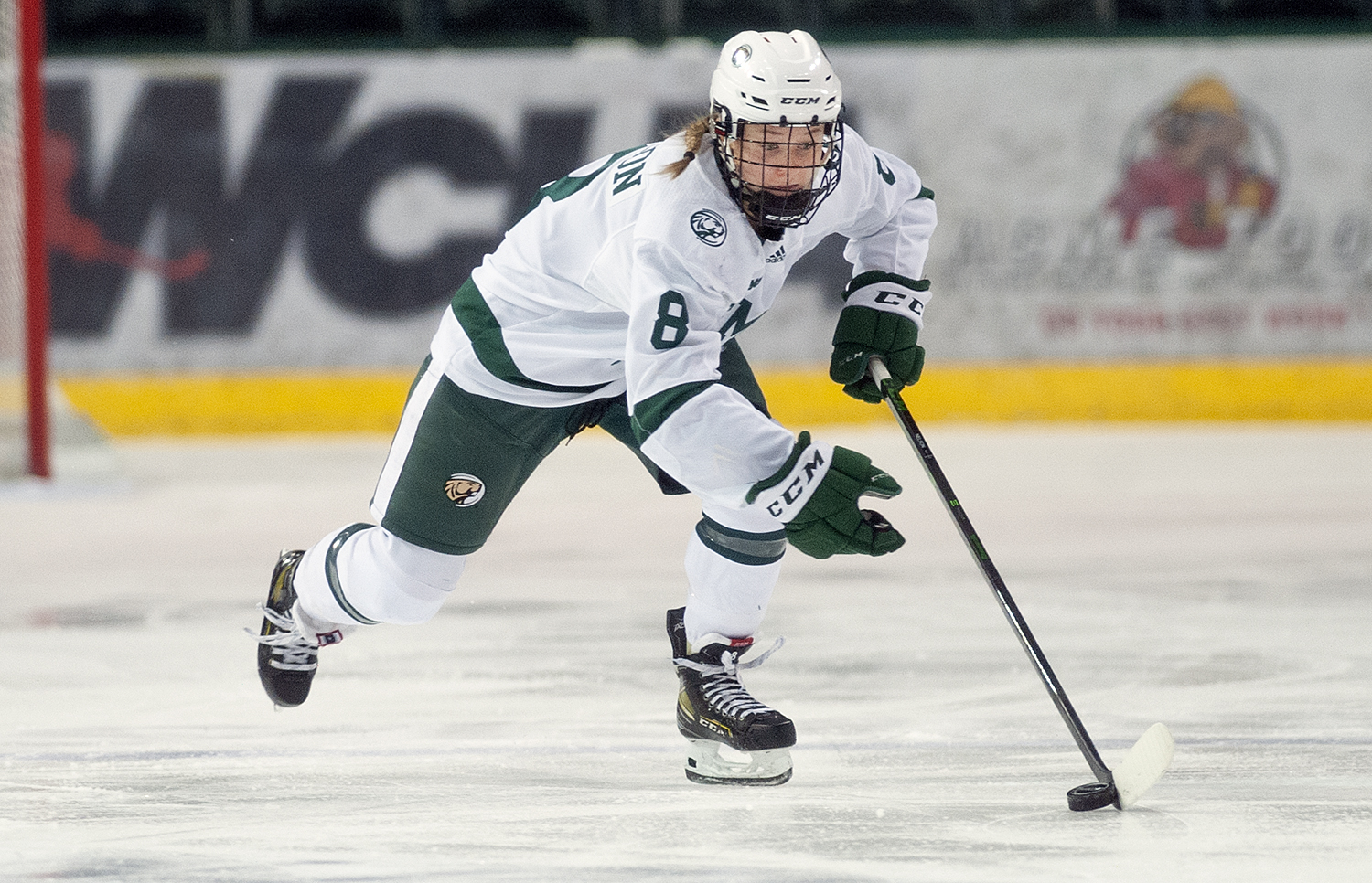 Taylor Nelson - 2023-24 - Women's Ice Hockey - Bemidji State University