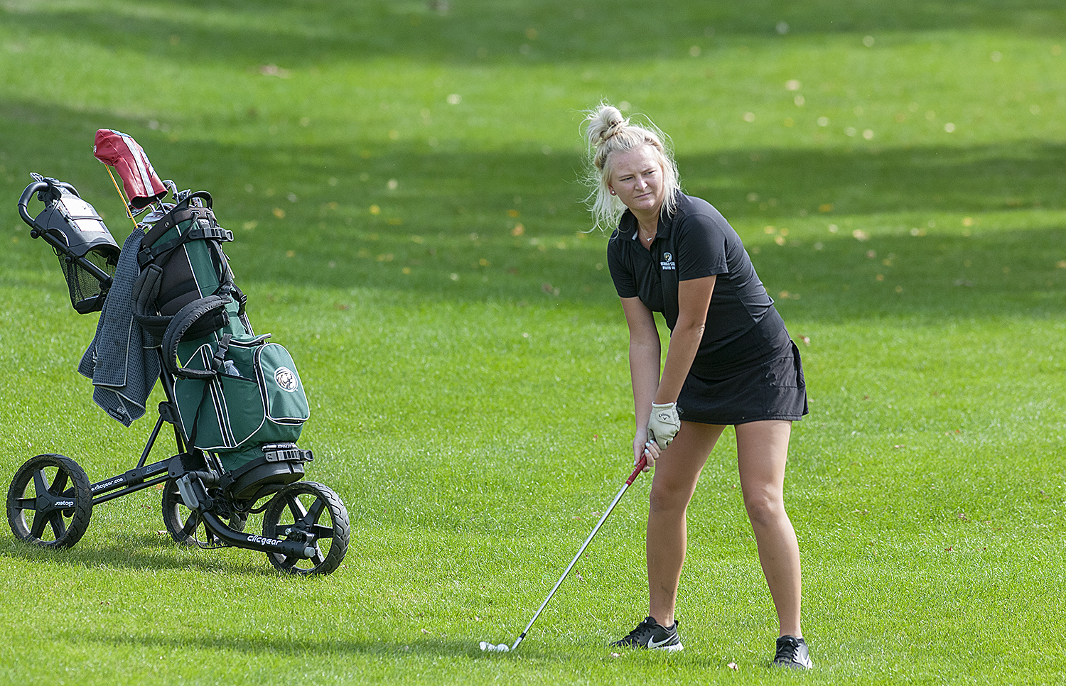Maddy Sawyer - 2023-24 - Women's Golf - Bemidji State University