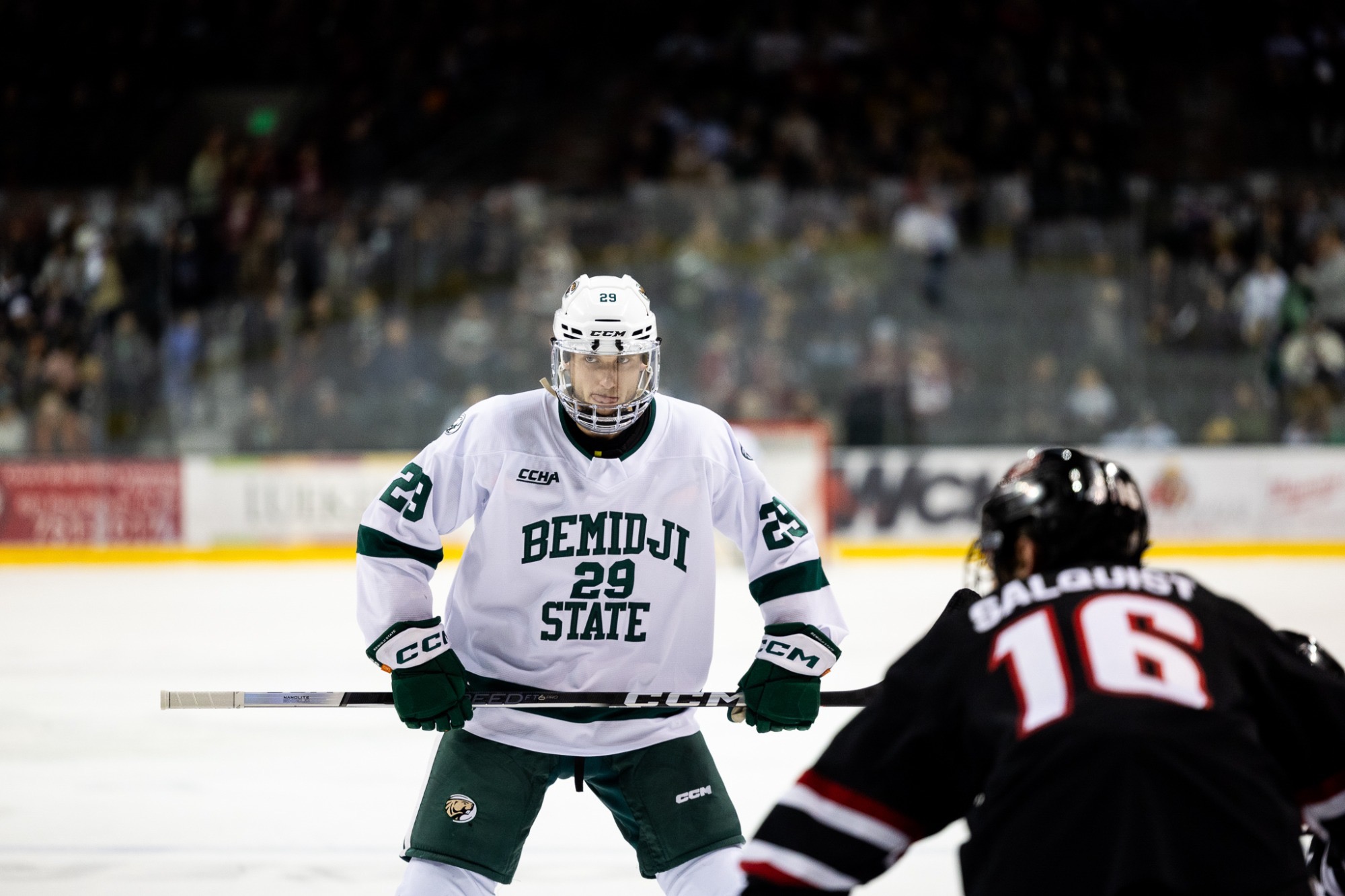 Lleyton Roed - 2023-24 - Men's Ice Hockey - Bemidji State University