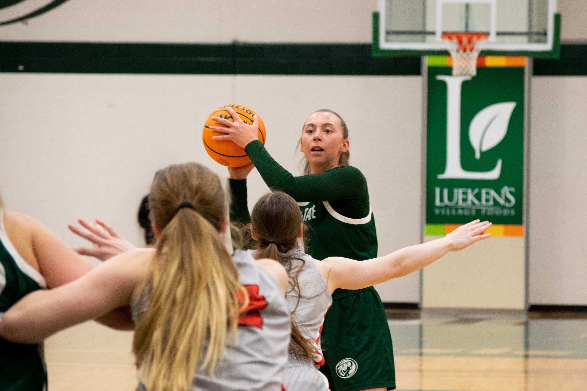 Isabel Majewski - 2023-24 - Women's Basketball - Bemidji State University