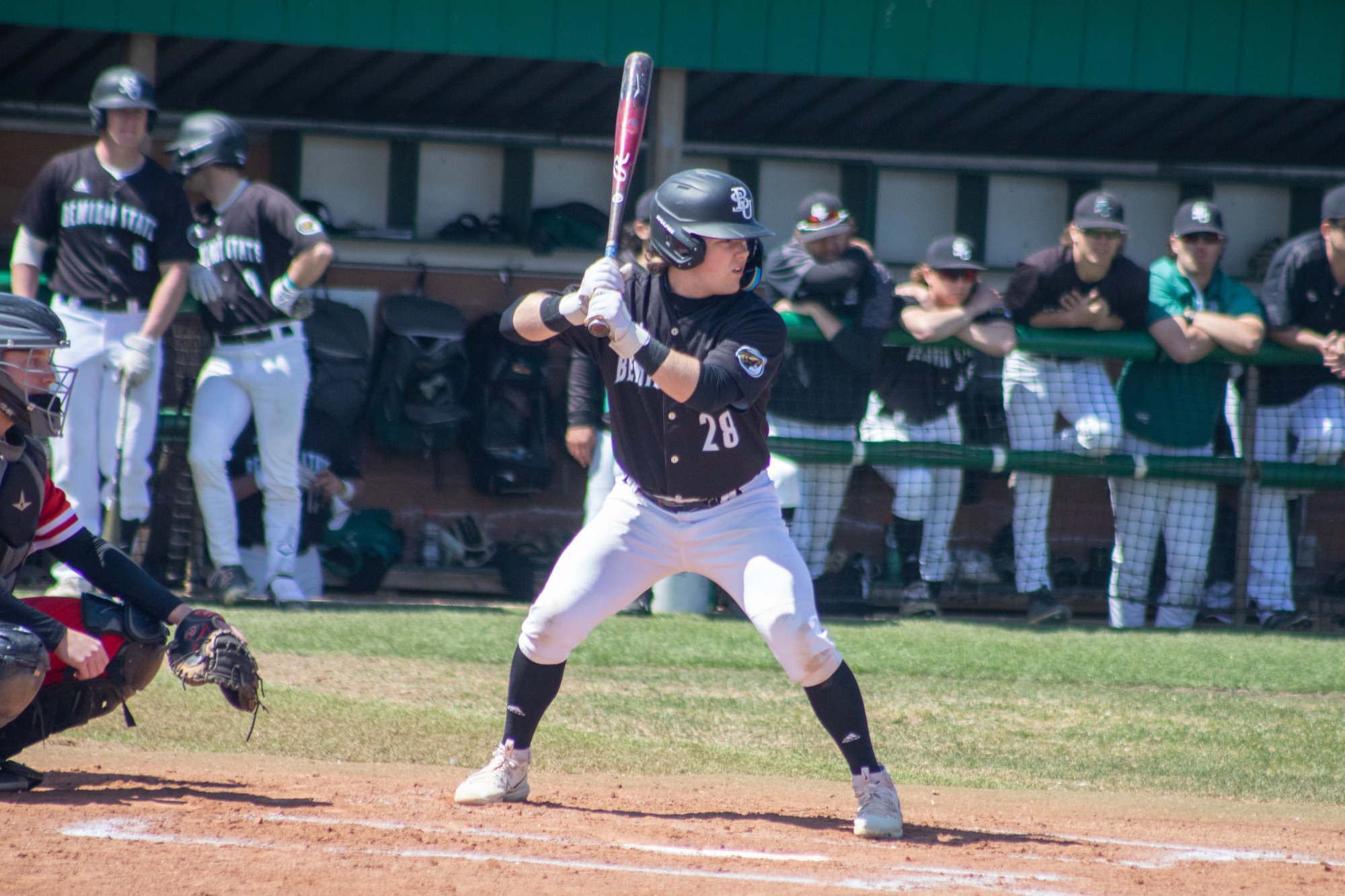 Jackson Schaffer - 2024 - Baseball - Bemidji State University