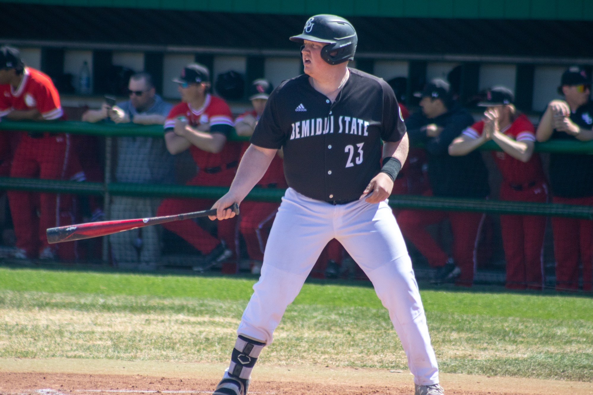 Wyatt Hamann - 2023 - Baseball - Bemidji State University