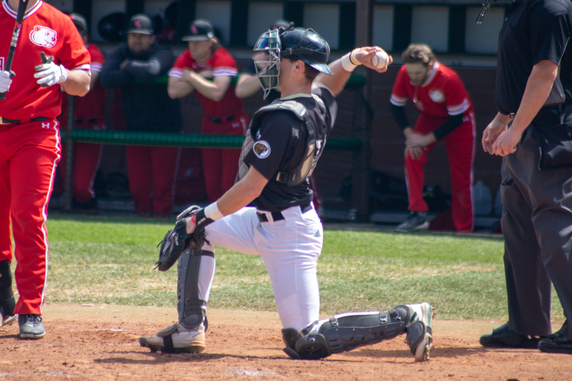 Zach Moritz - 2024 - Baseball - Bemidji State University