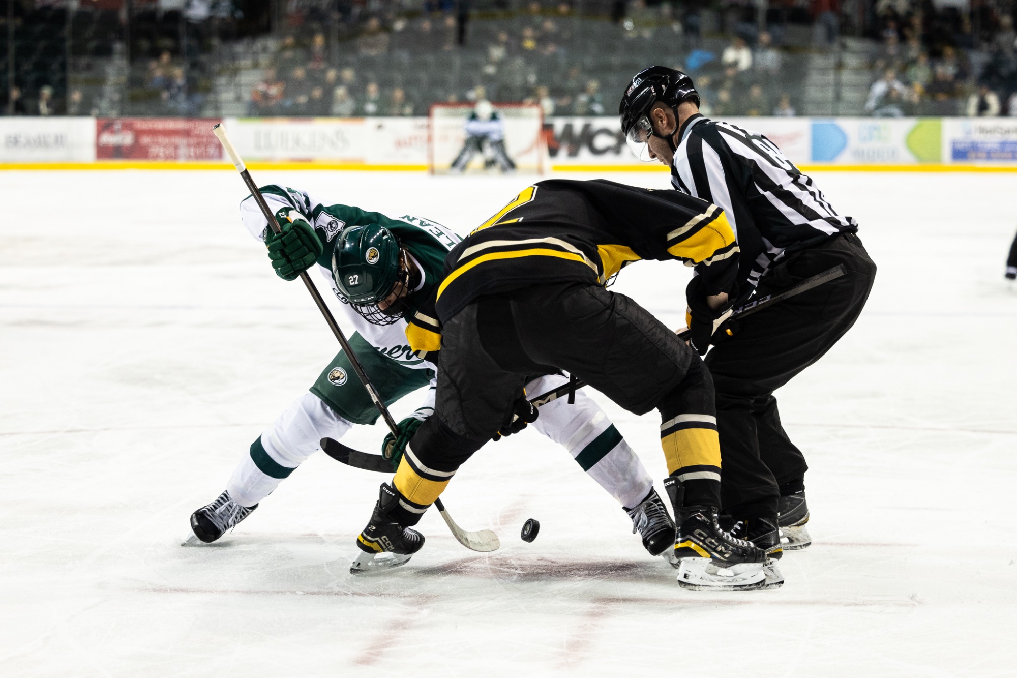Beavers preview home series with Northern Michigan - Bemidji State ...