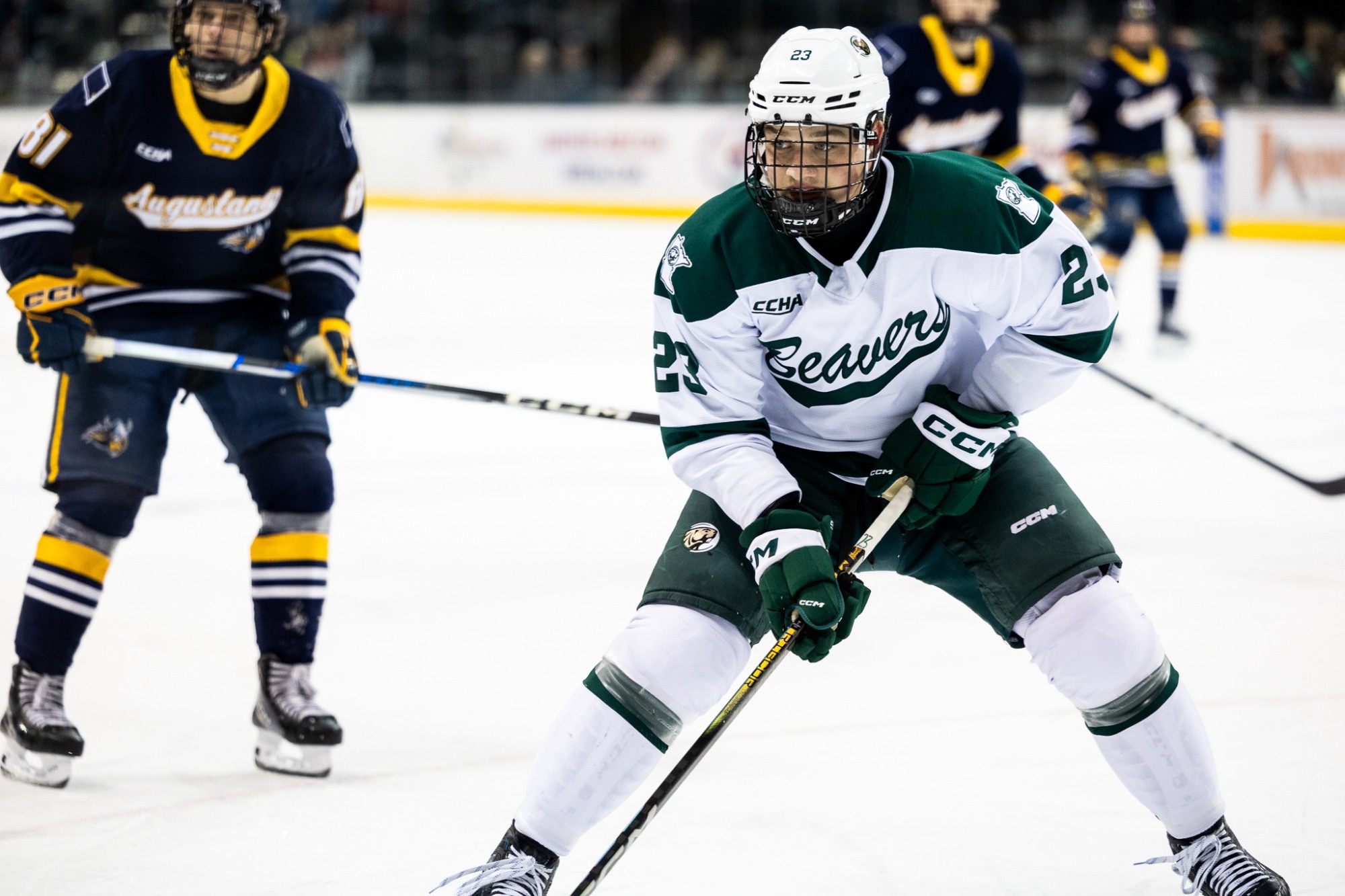 Eric Pohlkamp - 2023-24 - Men's Ice Hockey - Bemidji State University