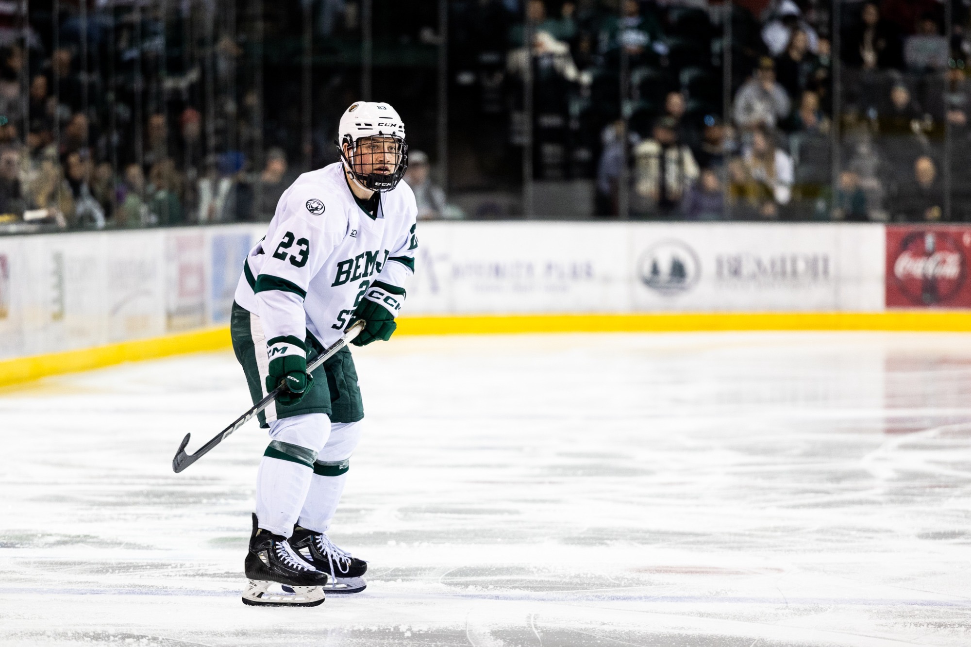 Eric Pohlkamp - 2023-24 - Men's Ice Hockey - Bemidji State University
