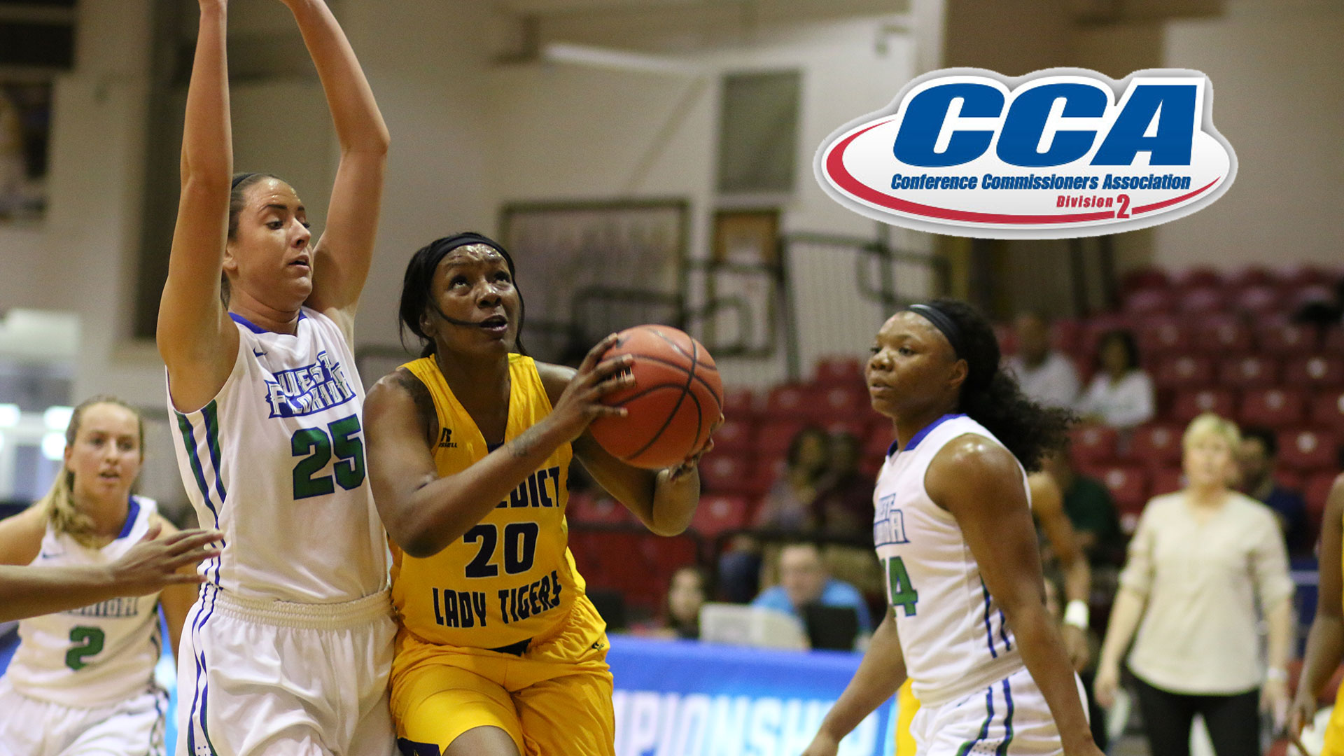 Destiny Betts - Basketball, Women - Benedict College Athletics