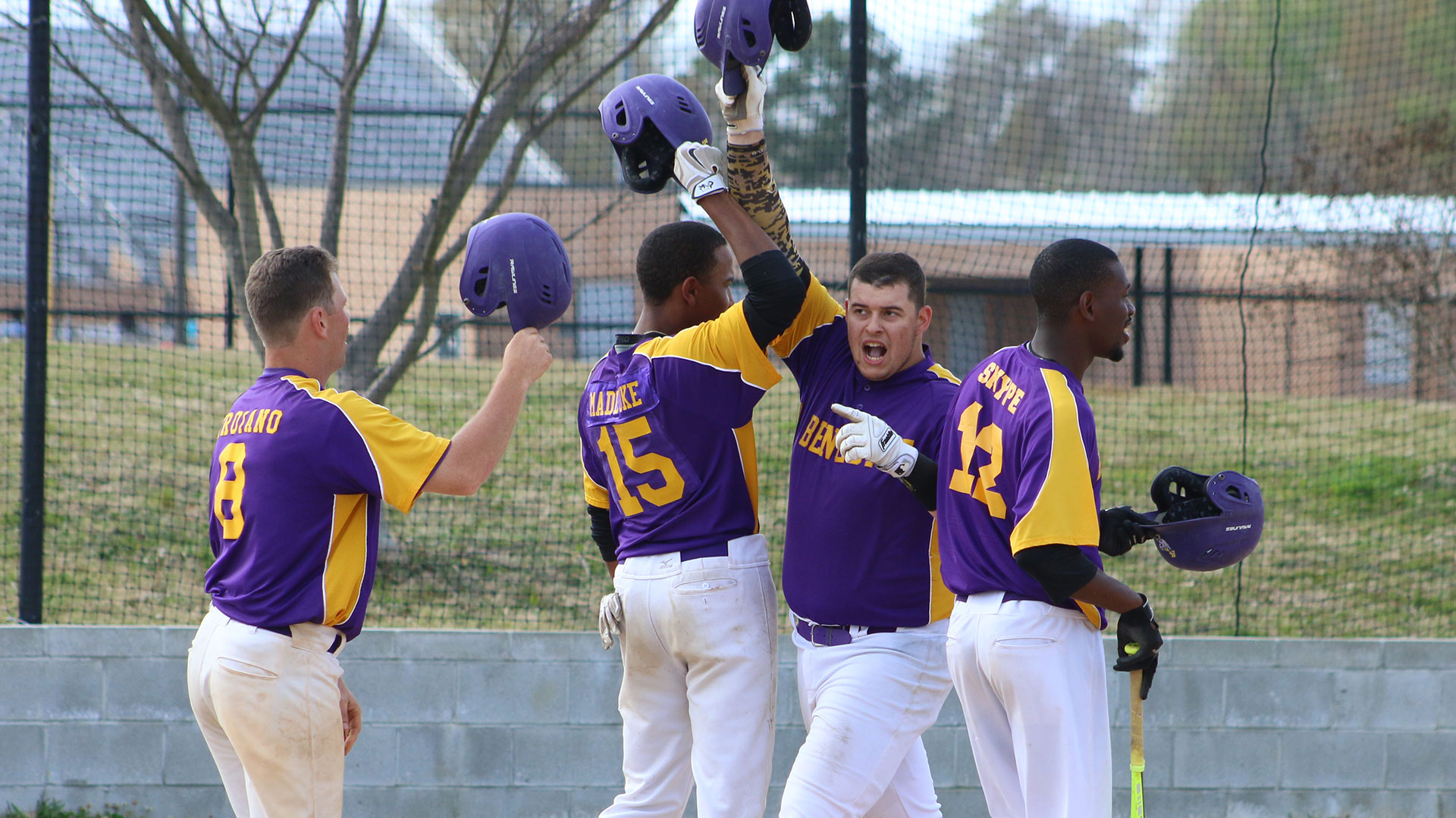 Reinaldo Santiago - Baseball - Benedict College Athletics