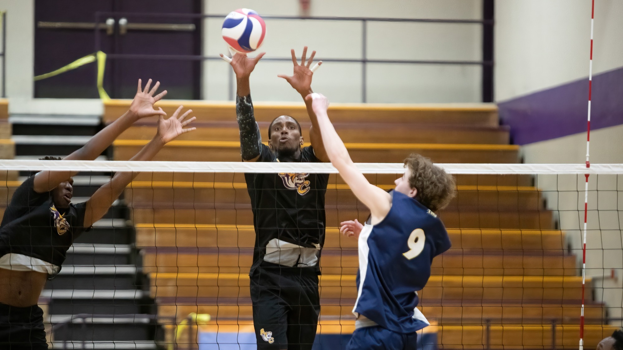 Tigers Down Truett-McConnell Behind Delancy's Record-Setting ...