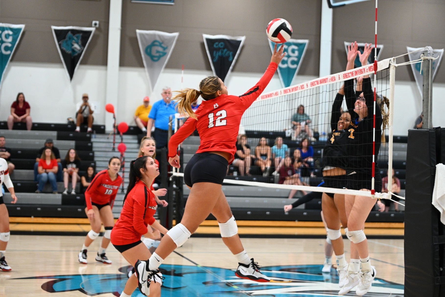 Women's Volleyball Picks up Seventh Sweep with Win Over Providence ...