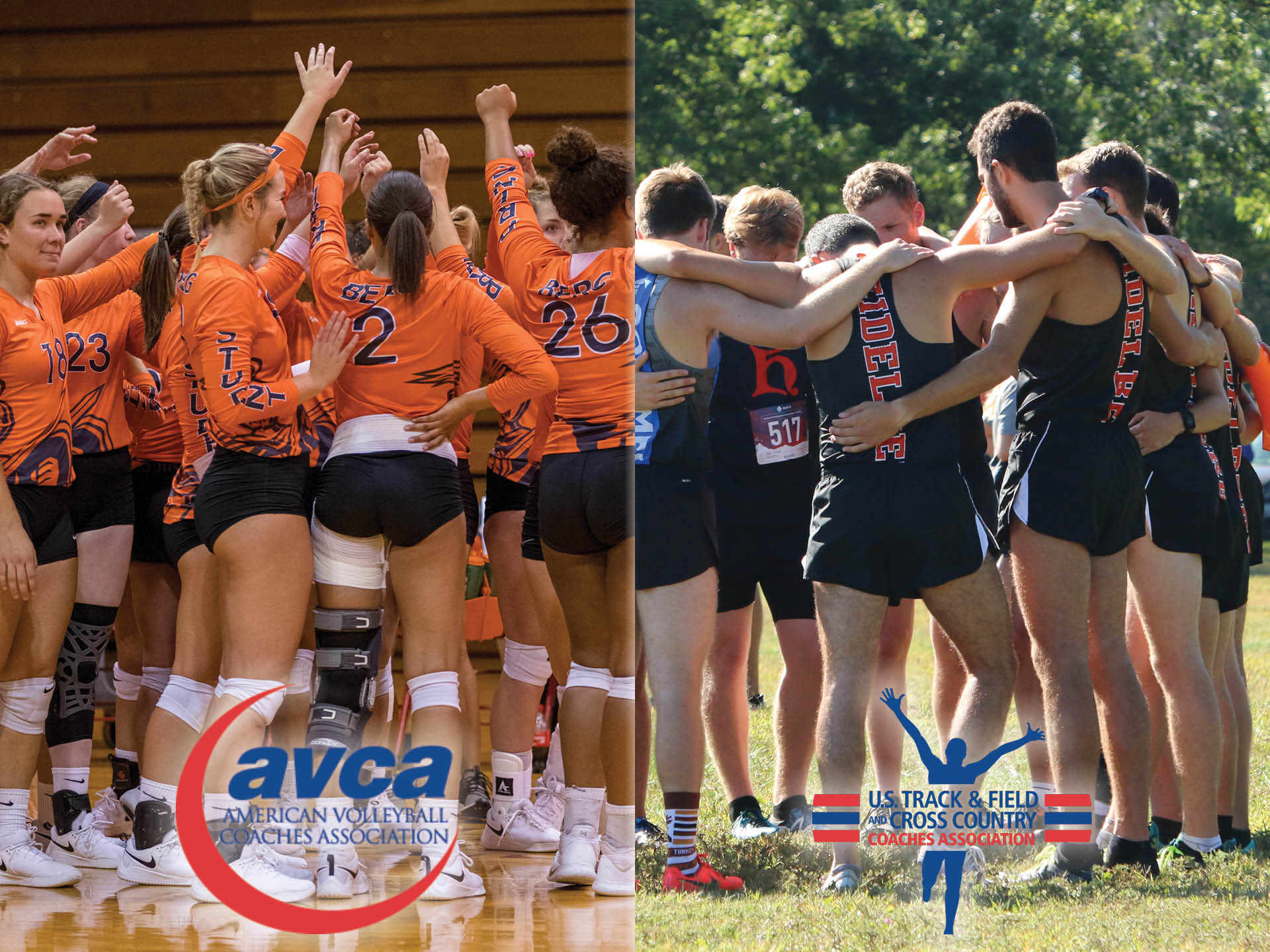 VB, MXC receive respective rankings - Heidelberg University