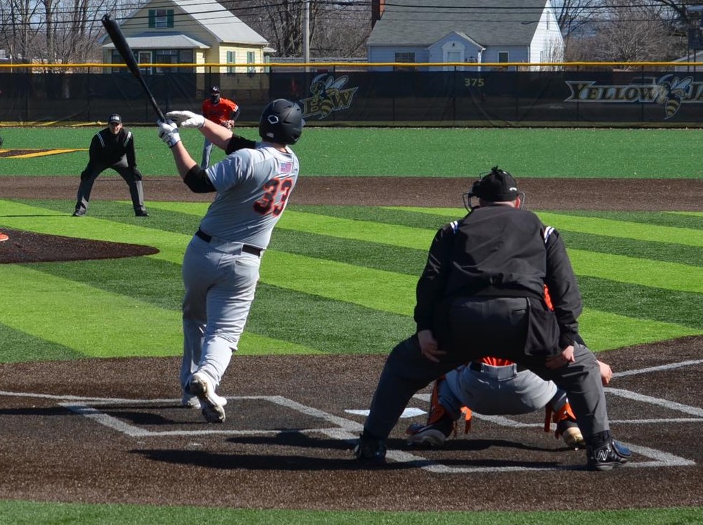 Bats remain frozen in loss - Heidelberg University