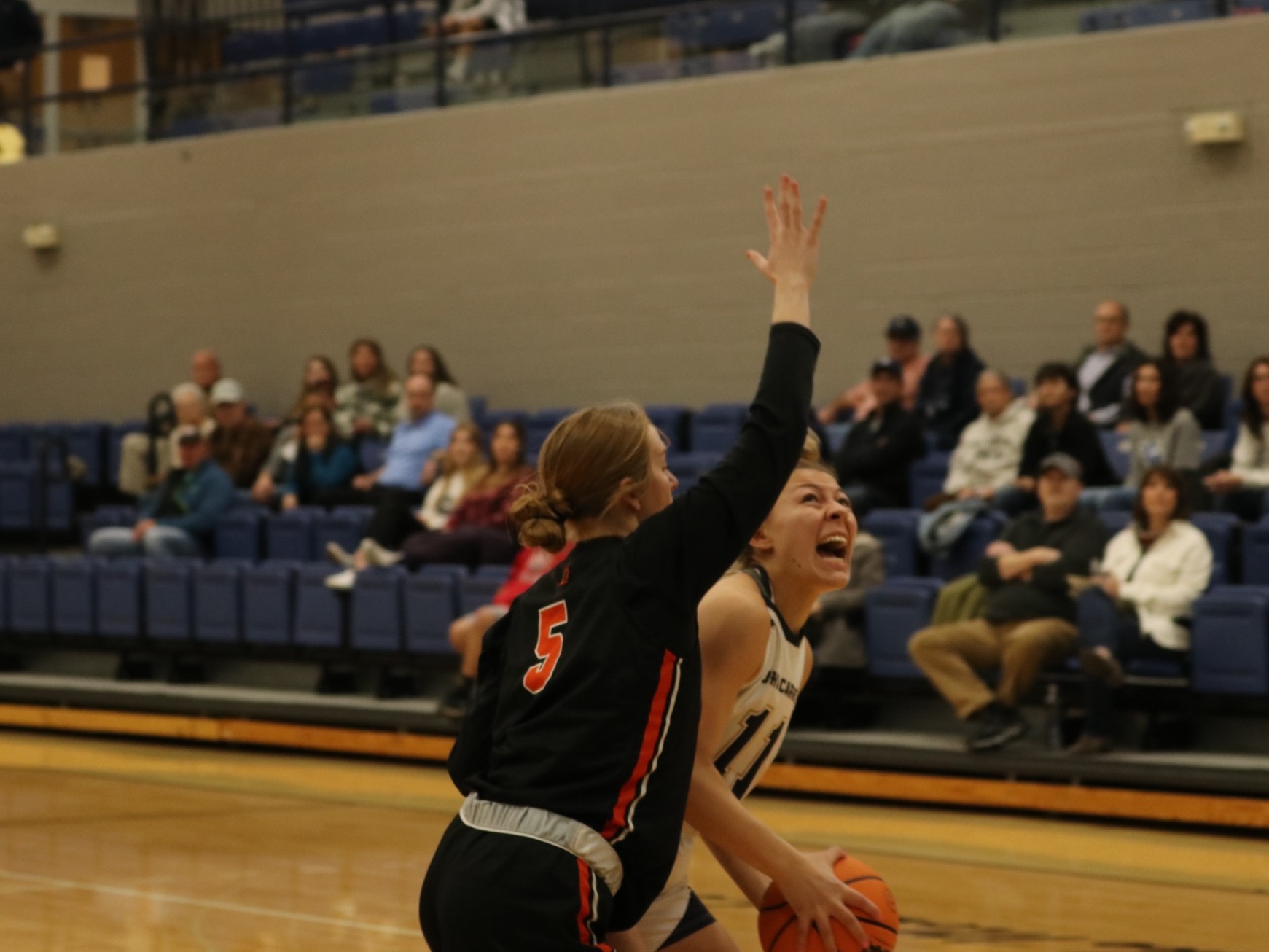 WBB falls in hard fought battle with JCU - Heidelberg University