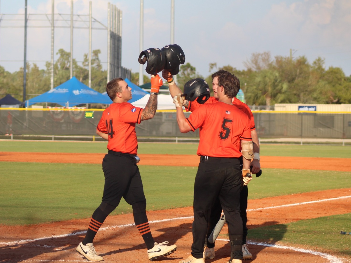 Berg Baseball splits a pair on Friday - Heidelberg University