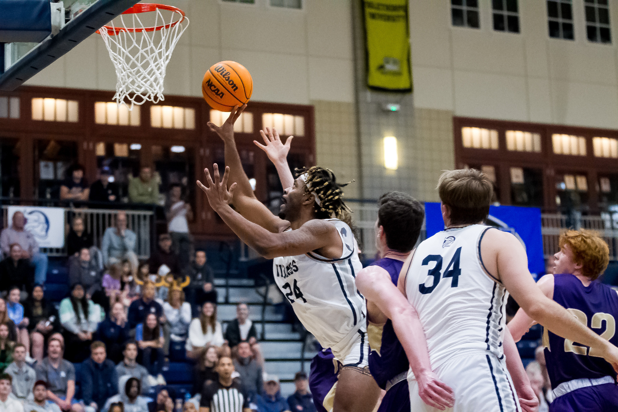 Chase Ellis - 2023-24 - Men's Basketball - Berry College