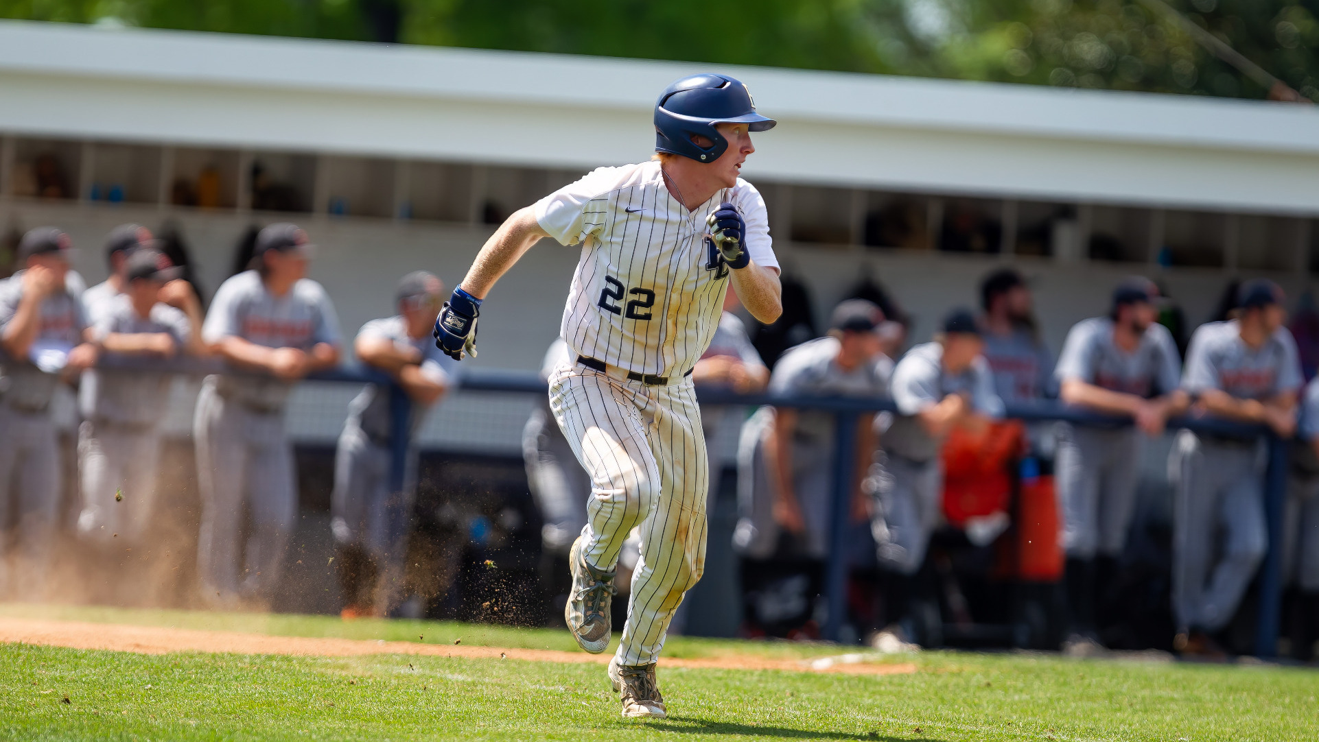 Levi Cloud - 2024 - Baseball - Berry College