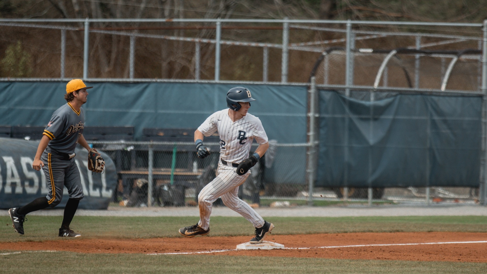 Vikings Topple Panthers - Berry College