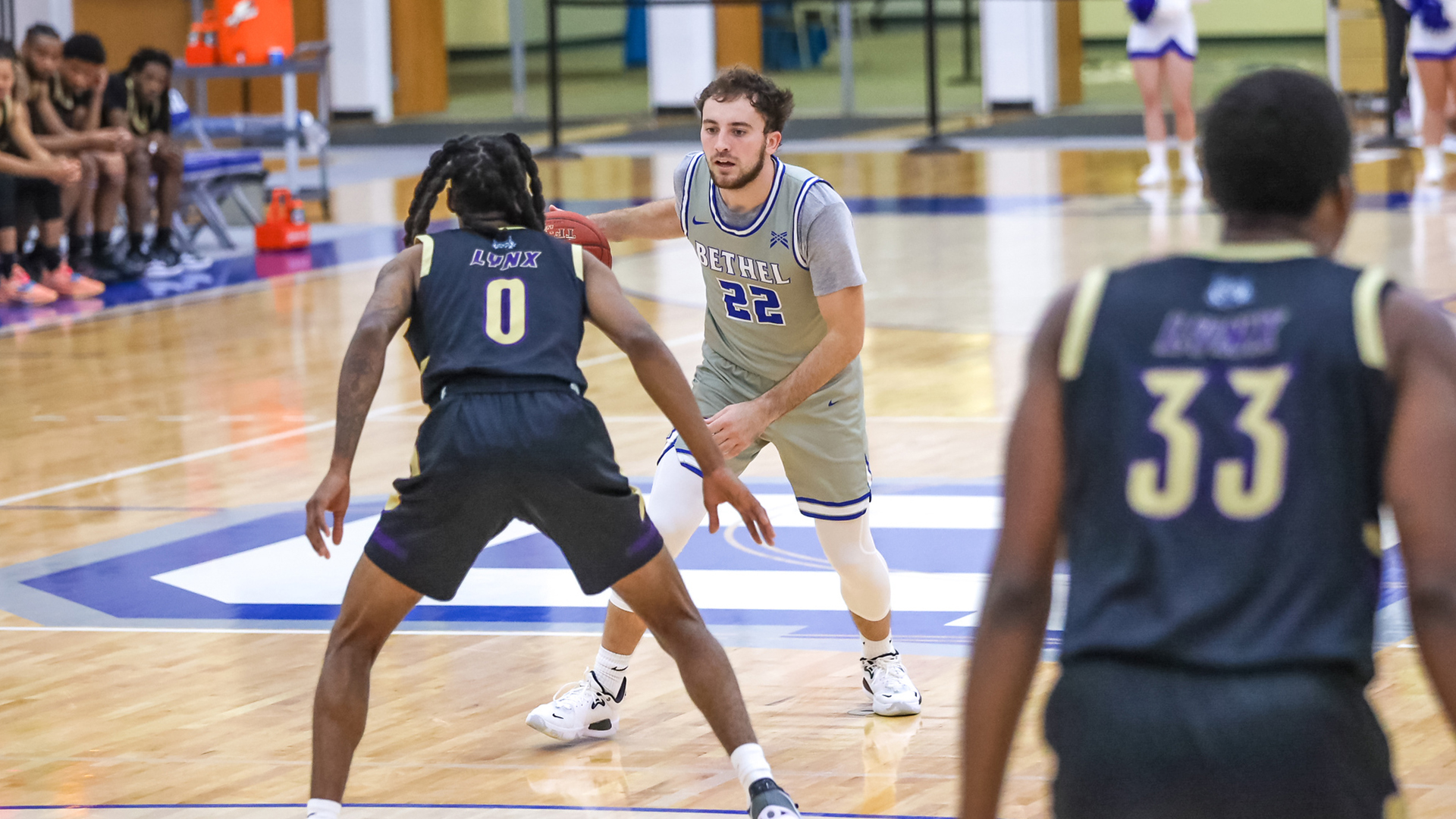 Pilots End Season in Quarterfinals - Bethel University (Ind)