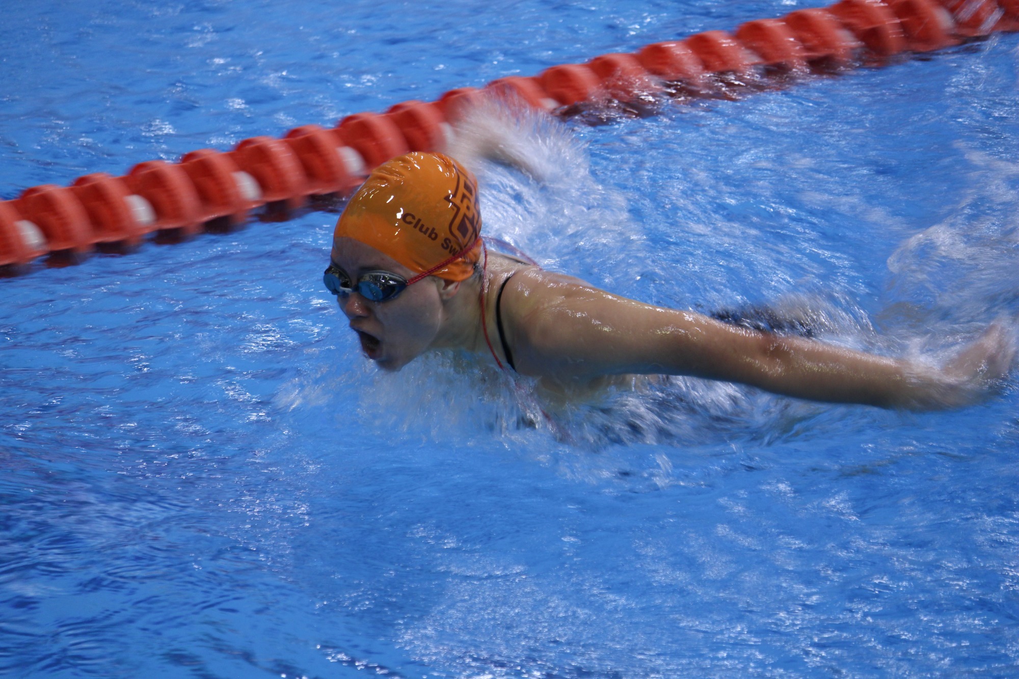 BGSU Club Swim Hosts Turkey Relay Races - Bowling Green State ...
