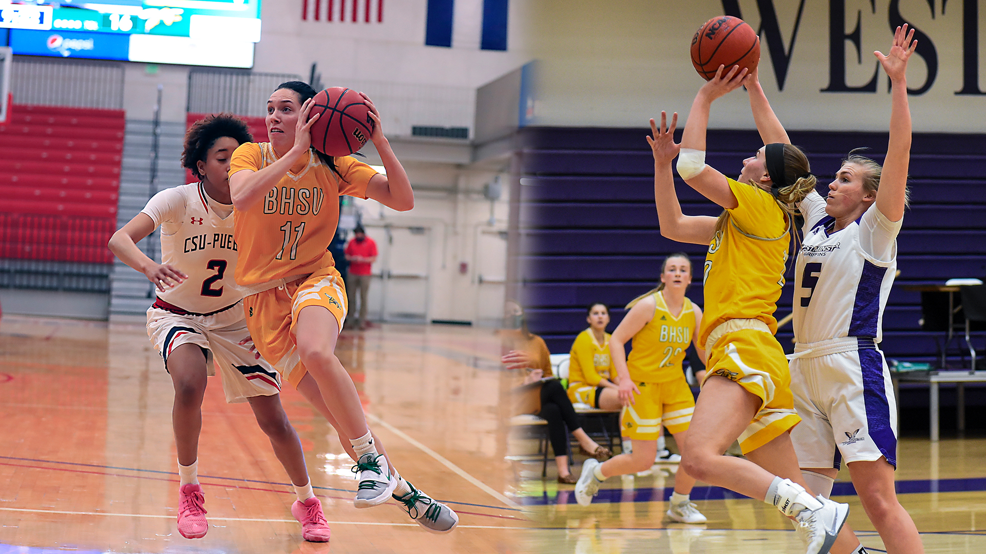 Megan Engesser - Women's Basketball - Black Hills State University ...